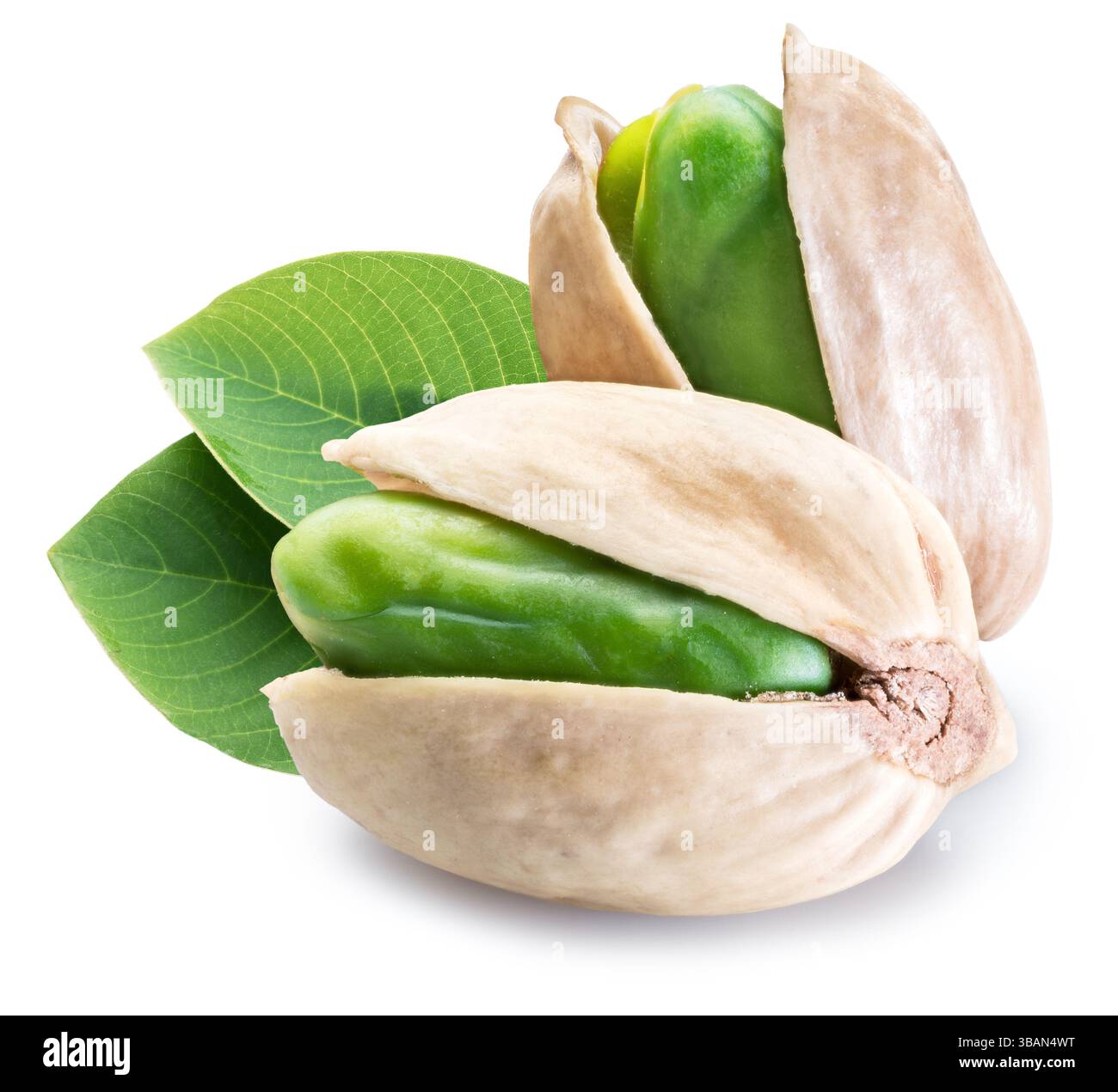 Green pistachio nuts with pistachio shell isolated on a white ...