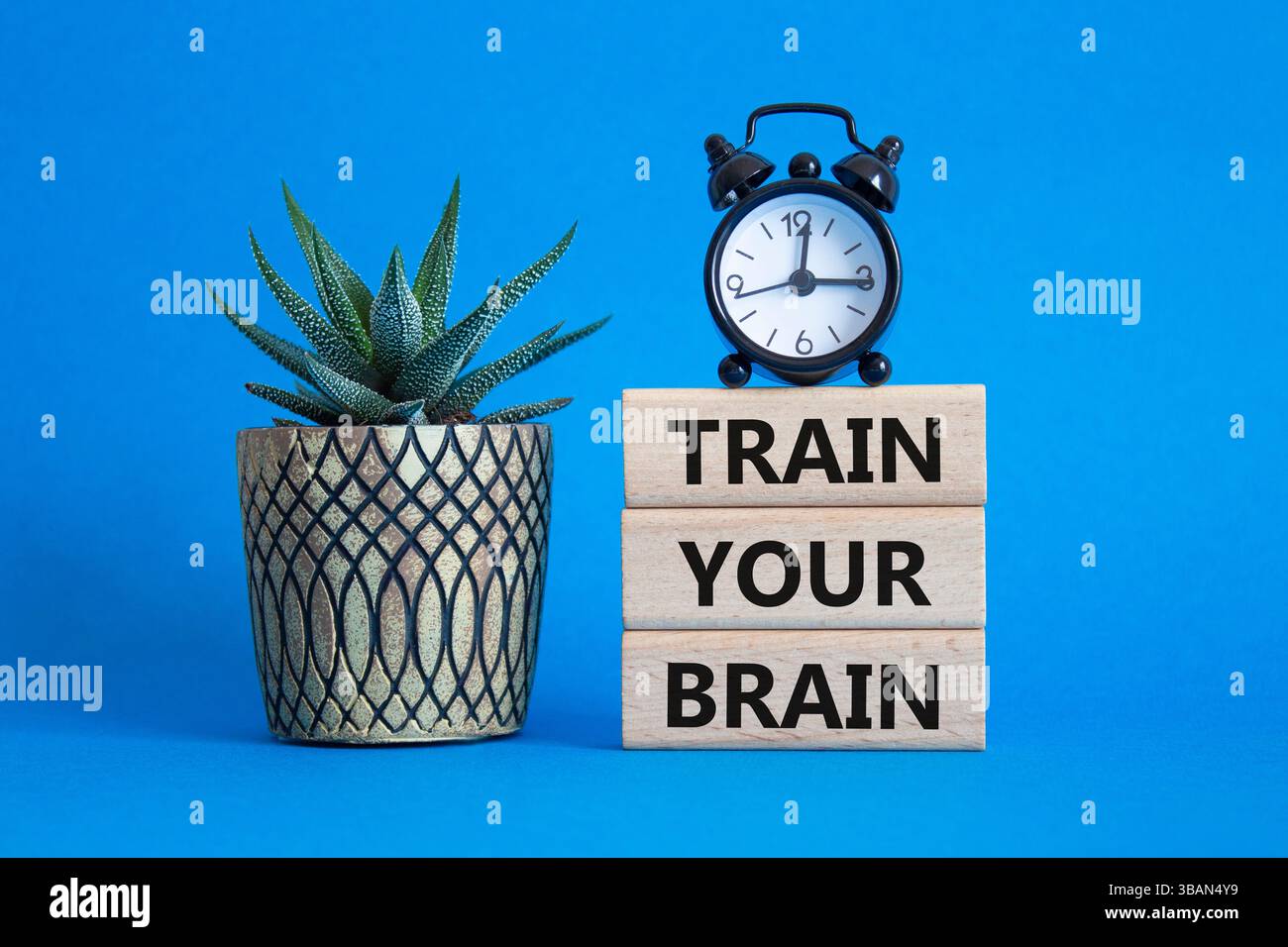 Train Your Brain symbol. Concept words Train Your Brain on wooden ...