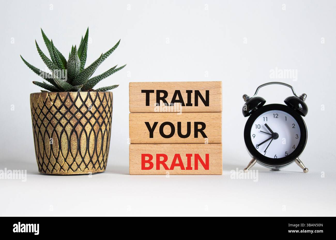 Train Your Brain symbol. Concept words Train Your Brain on wooden ...