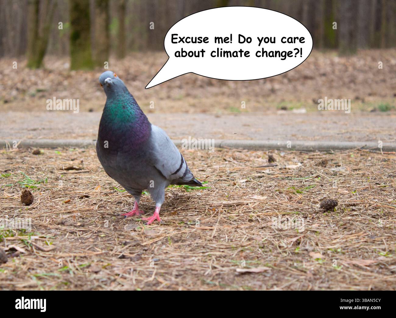 Meme pigeon. Climate change symbol. Excuse me Do You care about climate ...
