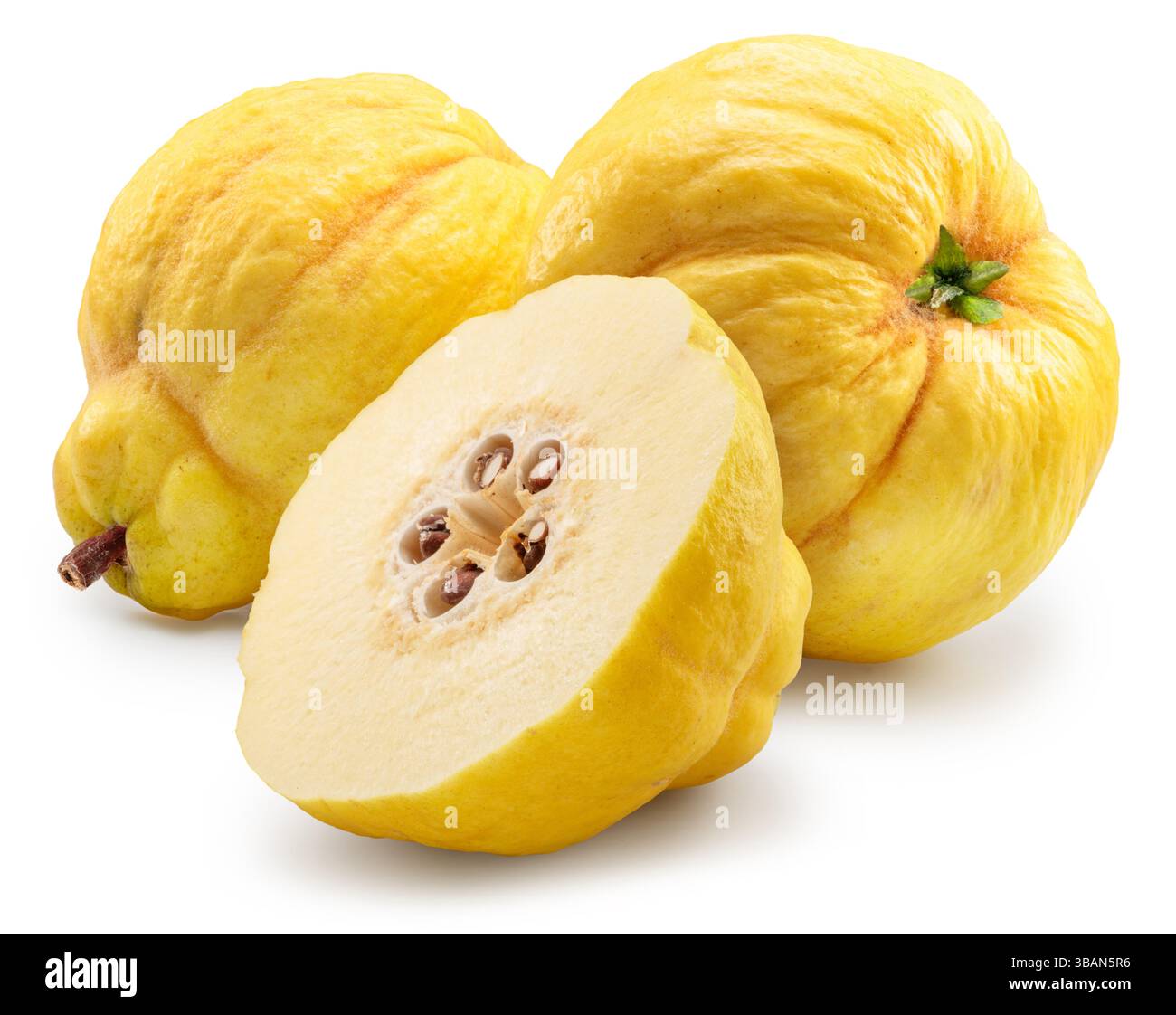 Quinces and cross cut of quince on white background. File contains ...