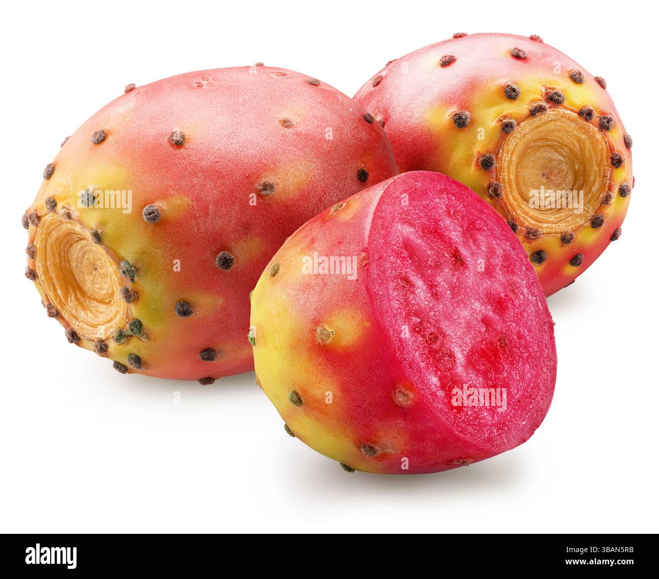 Opuntia fruit or prickly pear cactus and opuntia cut in half isolated ...
