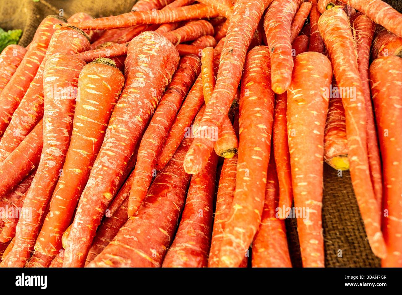 Carrots on display in street market in Jodhpur, India showing variety ...