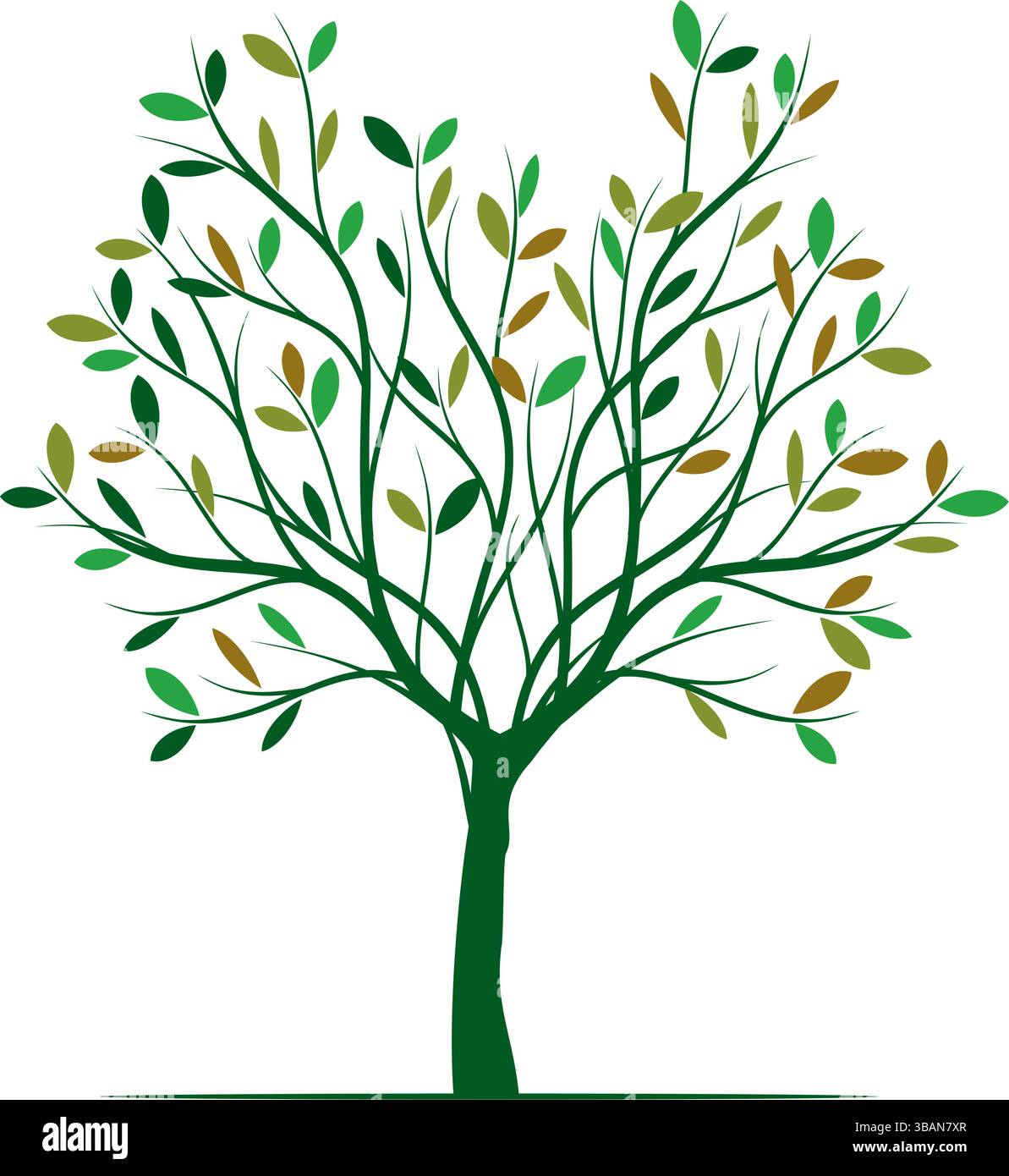 Shape of Green Tree with Leaves and Roots. Vector outline Illustration ...