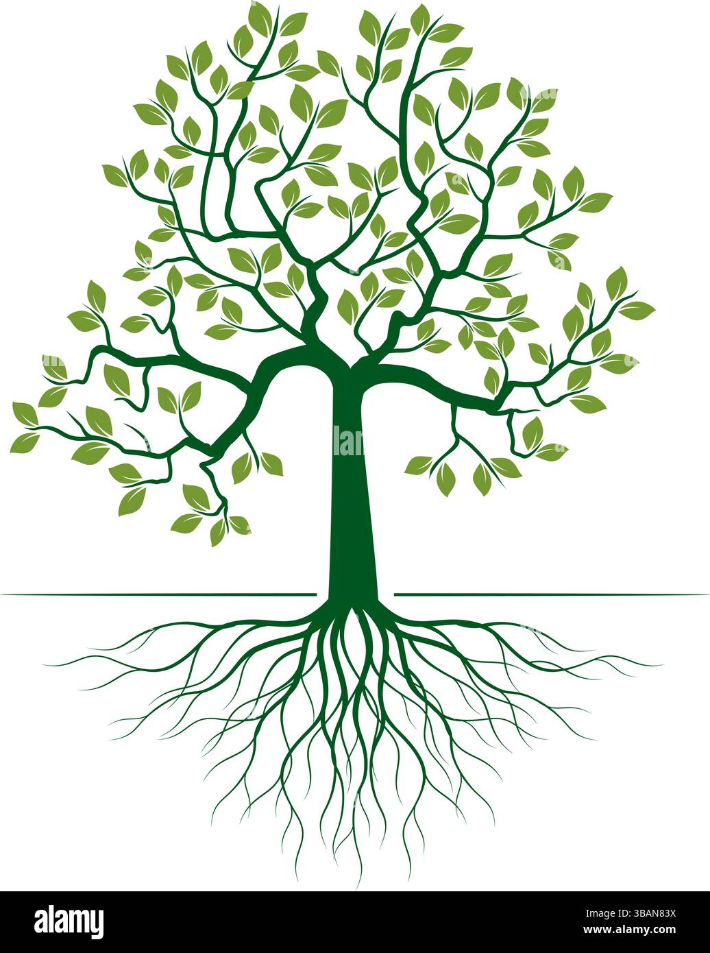 Tree roots grow in Cut Out Stock Images & Pictures - Alamy