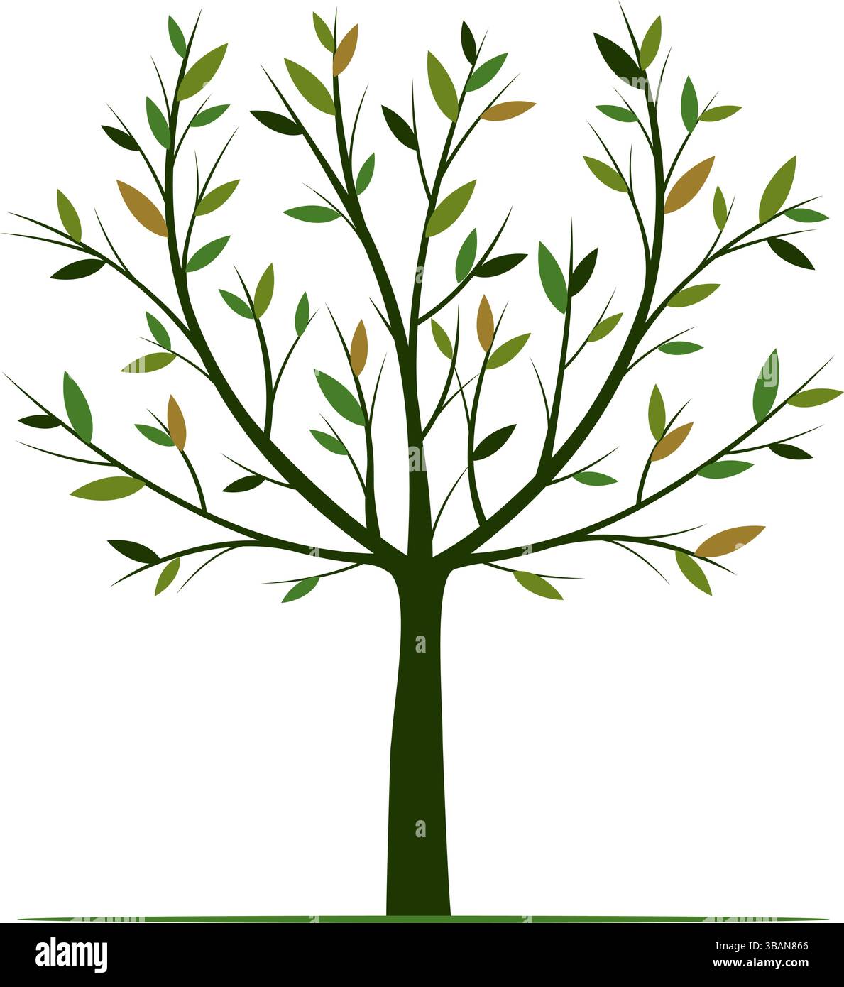 Shape of Spring Tree with greenn Leaves. Vector outline Illustration ...