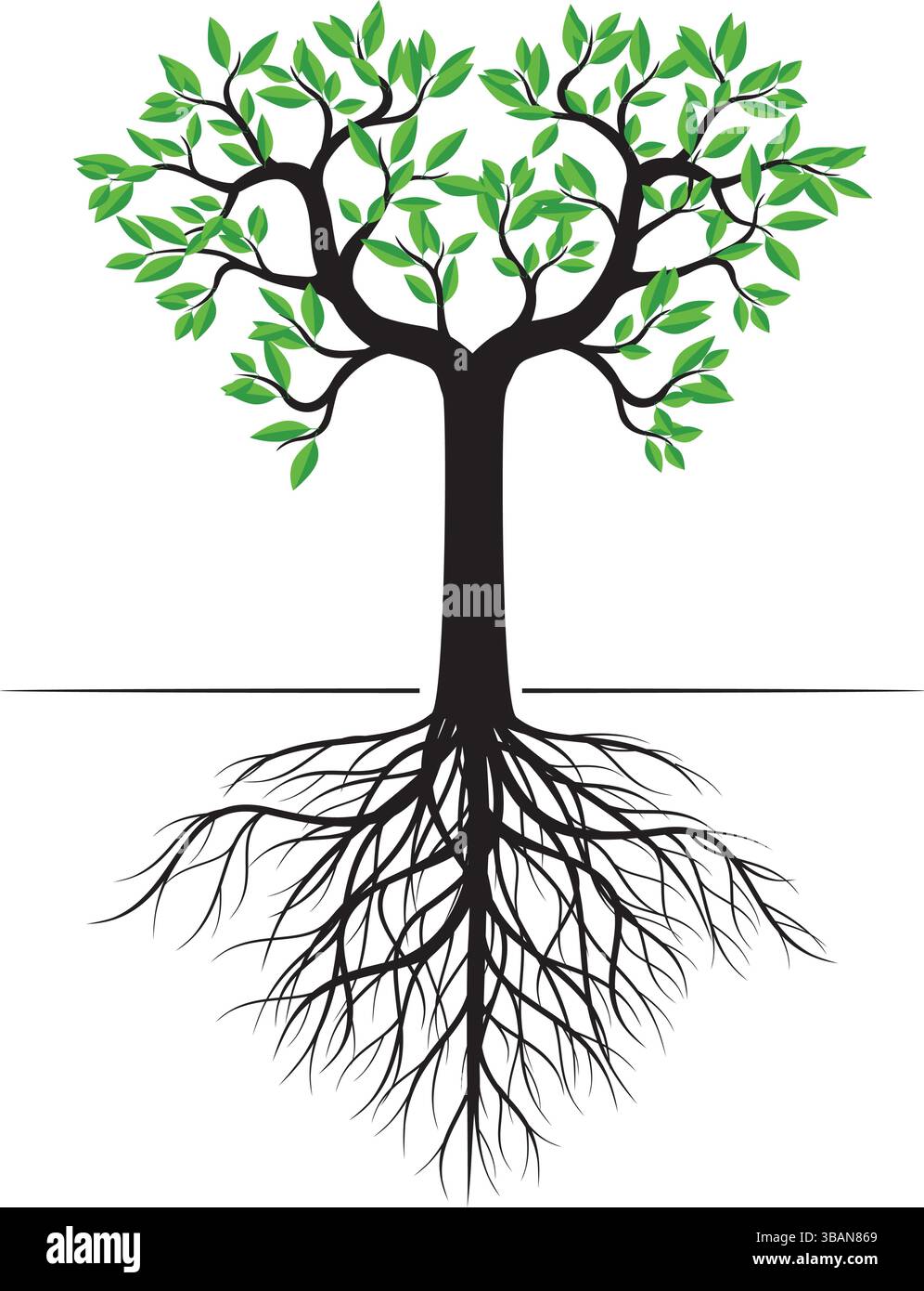 Shape of Green Tree with Leaves and Roots. Vector outline Illustration ...