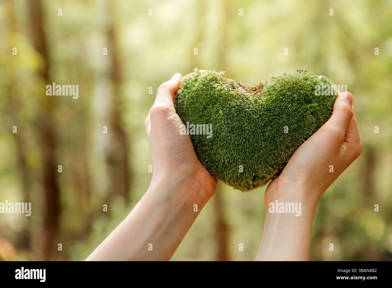 Peace hand forest hi-res stock photography and images - Alamy