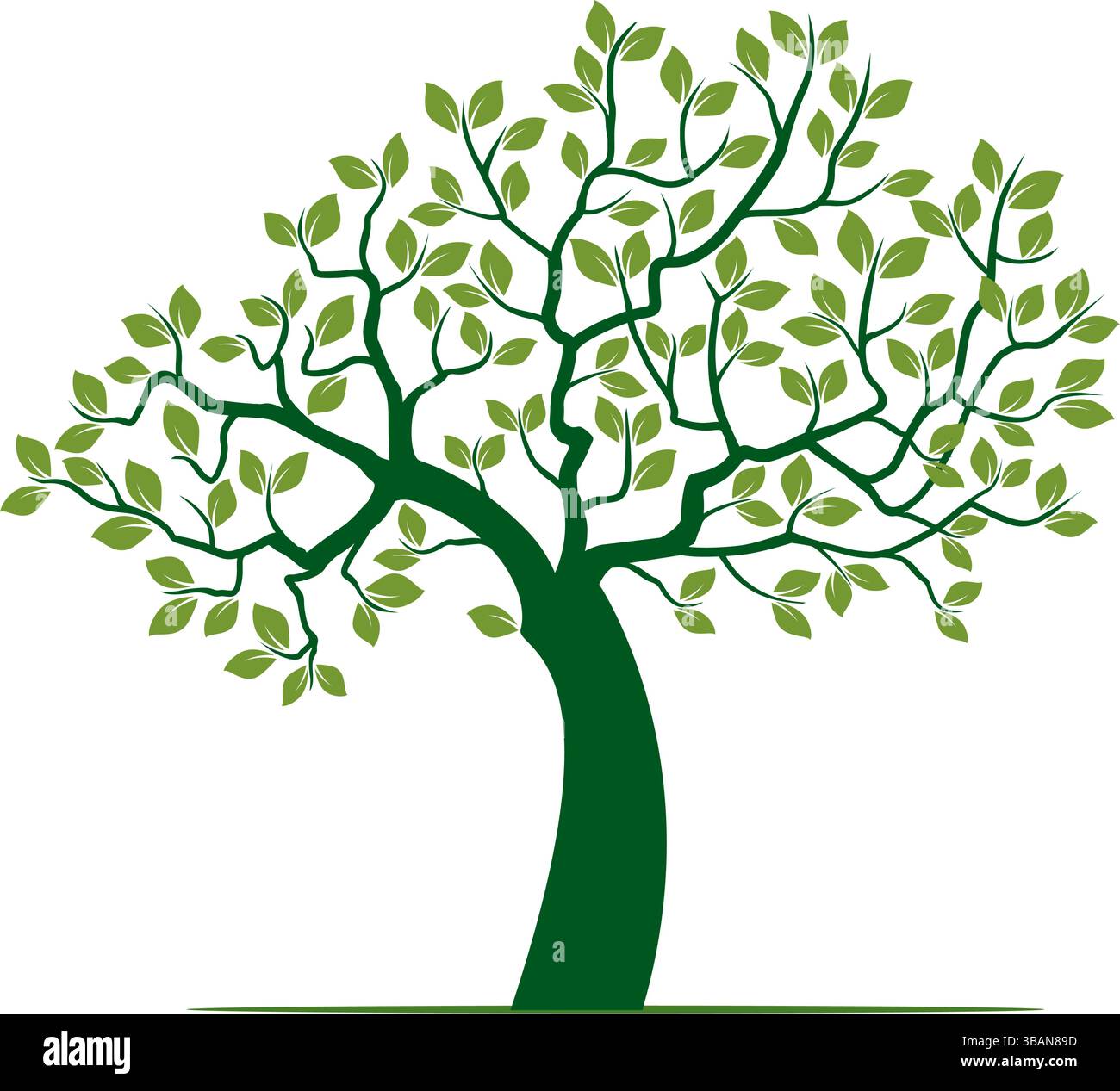 Shape of Spring Tree with green Leaves. Vector outline Illustration ...