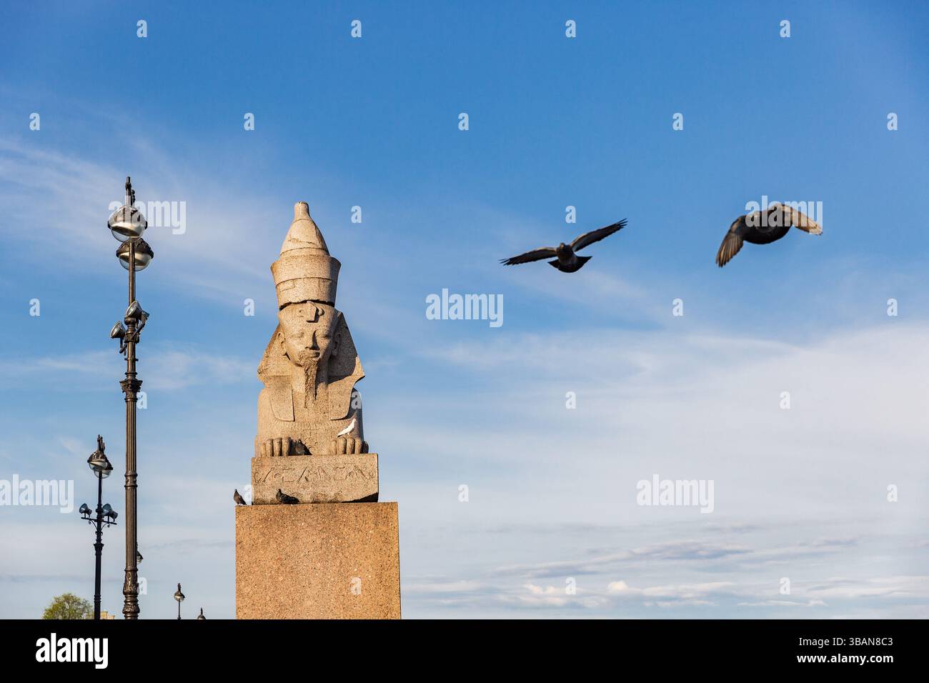Sphinxes on the University Emb are sculptures of zoomorphic mythical ...