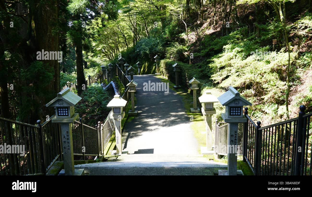 Golden Torii at Akiba Shrine – Spiritual Gateway in Autumn Light Stock ...