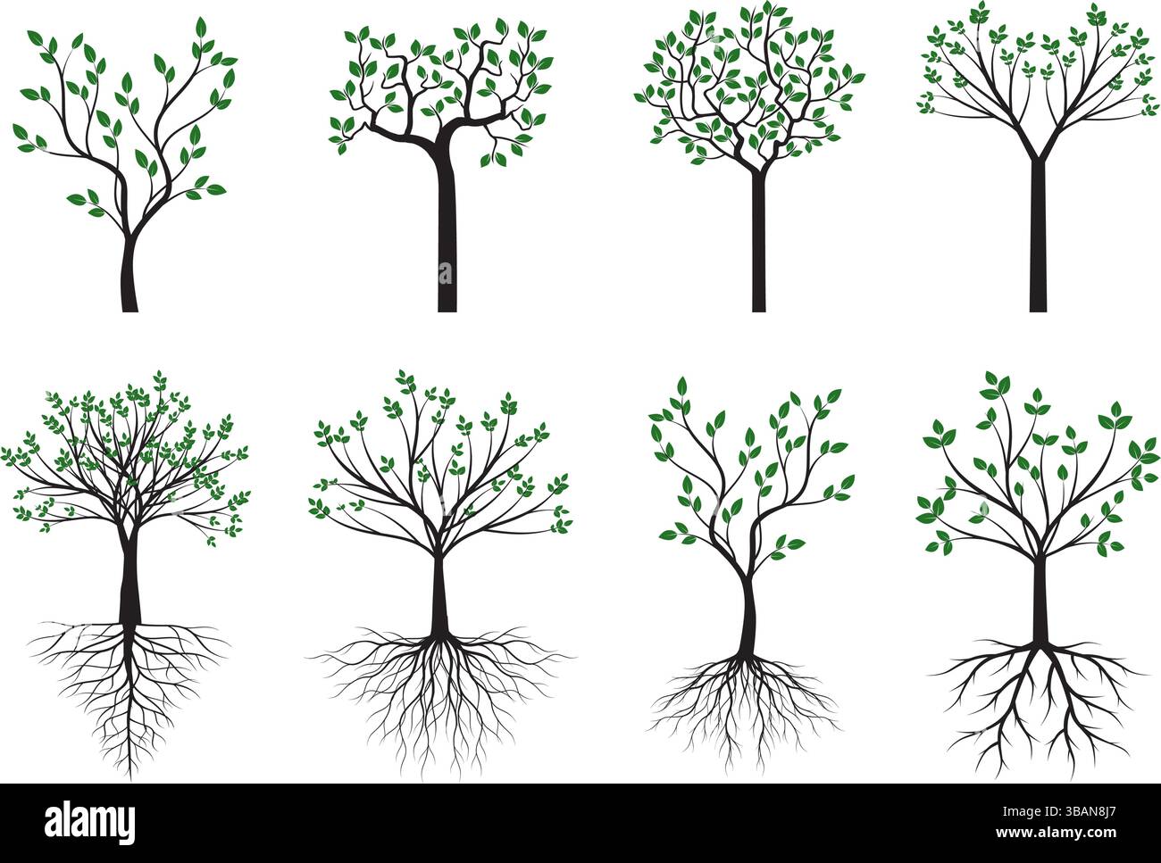 Alm tree Stock Vector Images - Alamy