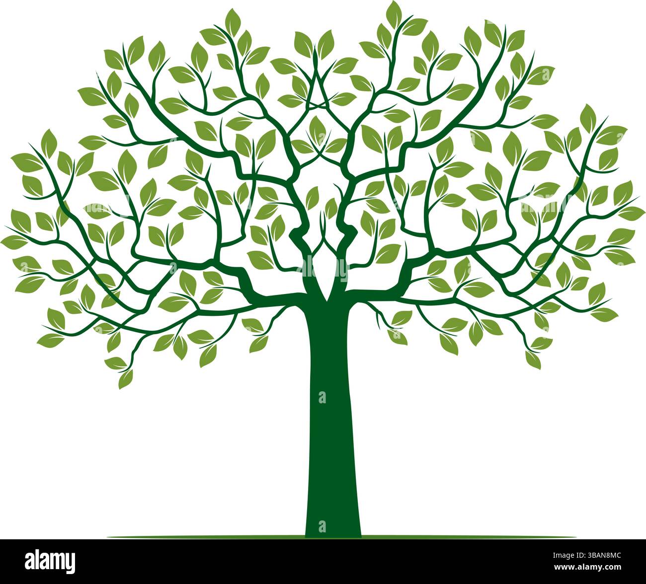 Shape of Spring Tree with greenn Leaves. Vector outline Illustration ...