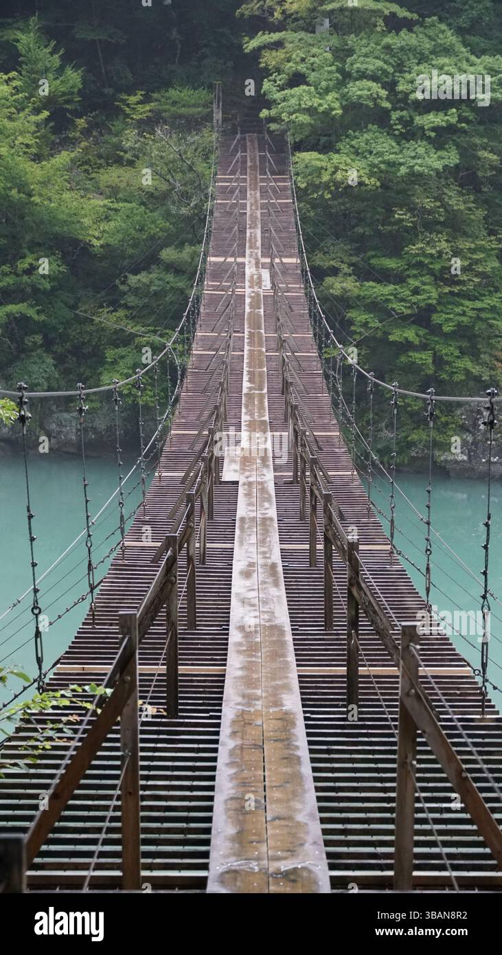 Bridging Nature – Scenic Views from Shizuoka, Japan Stock Photo - Alamy