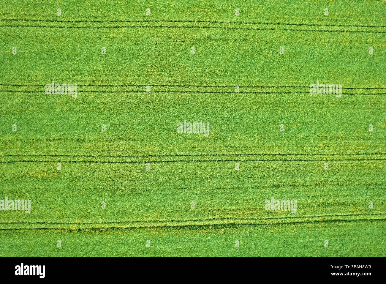 overhead drone view of agricultural fields in spring, textured ...