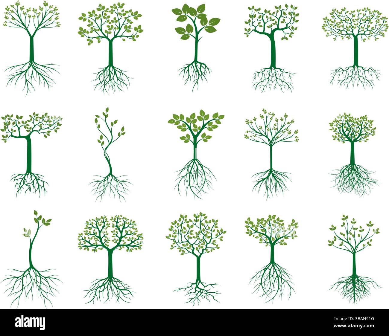 Trees bush in forest Stock Vector Images - Alamy
