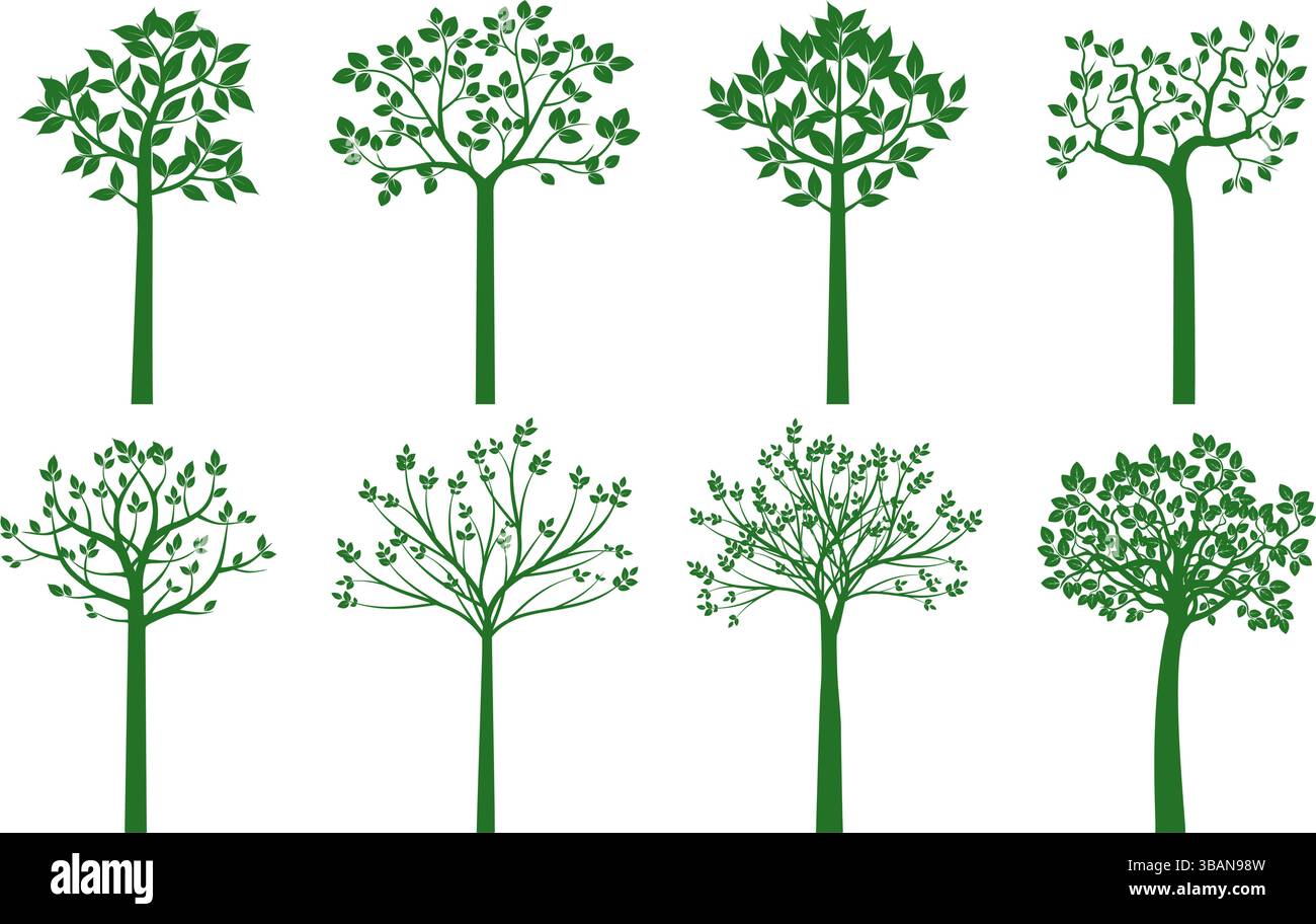 Tree bark in park Cut Out Stock Images & Pictures - Alamy