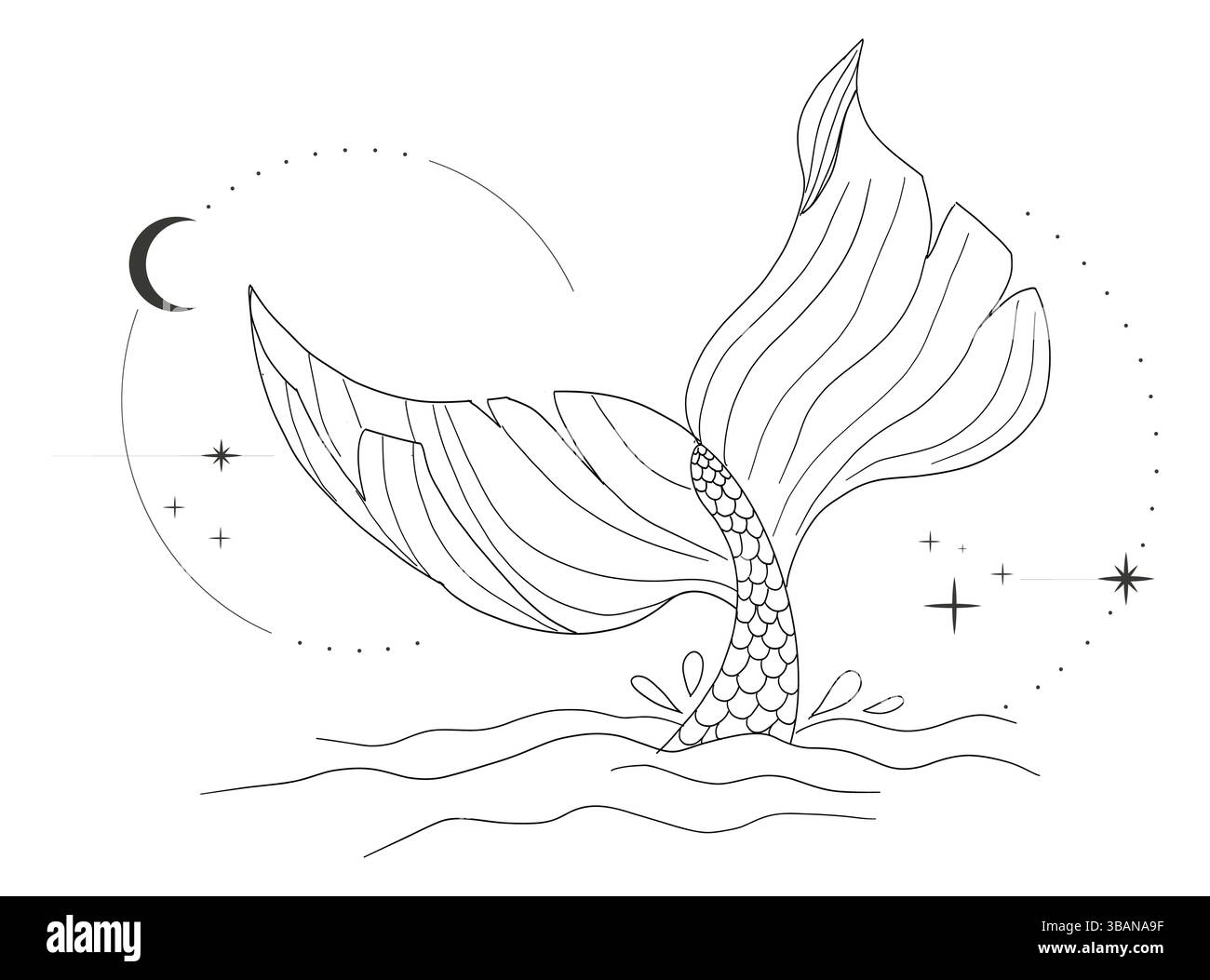 Whale tail with water splash circles stars and moon line sketch minimal ...