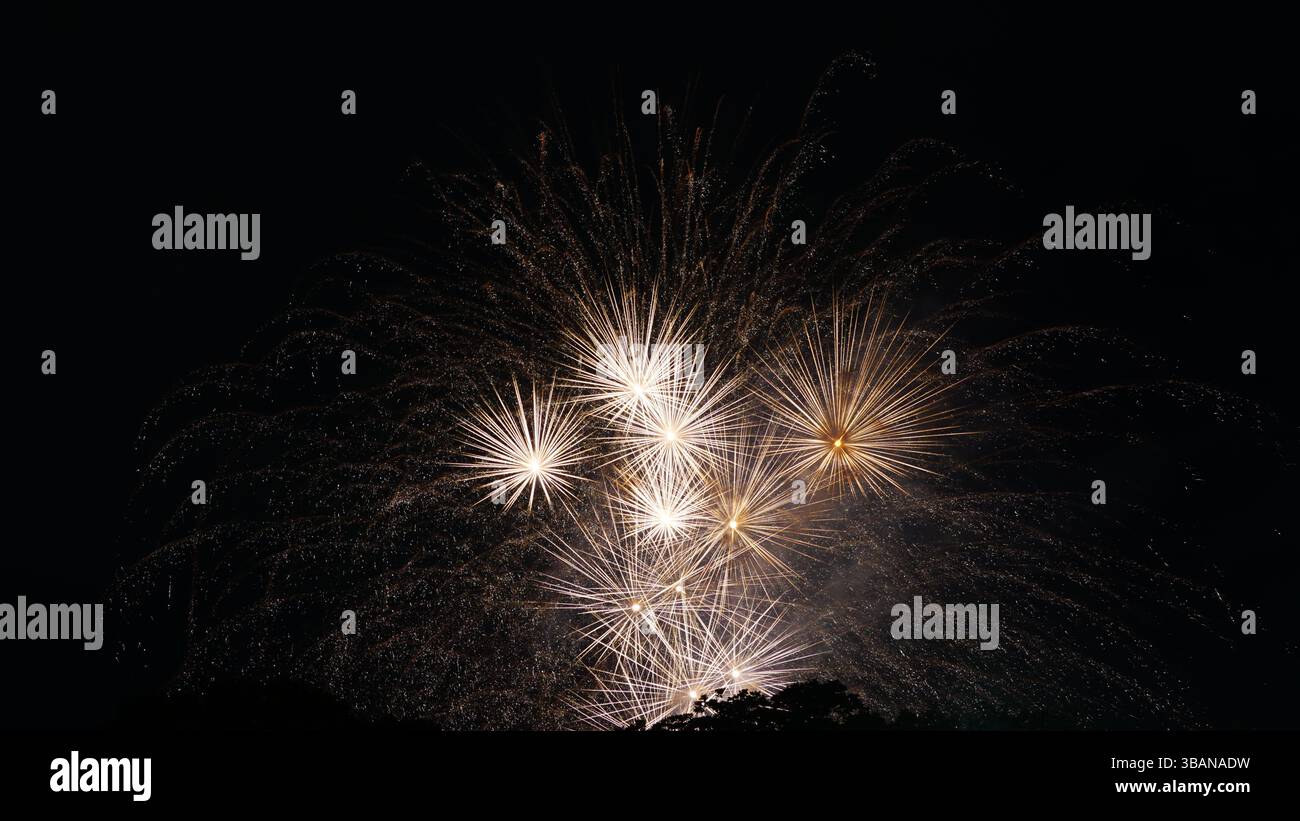 Explosive Beauty: Fireworks Lighting Up the Night Stock Photo - Alamy