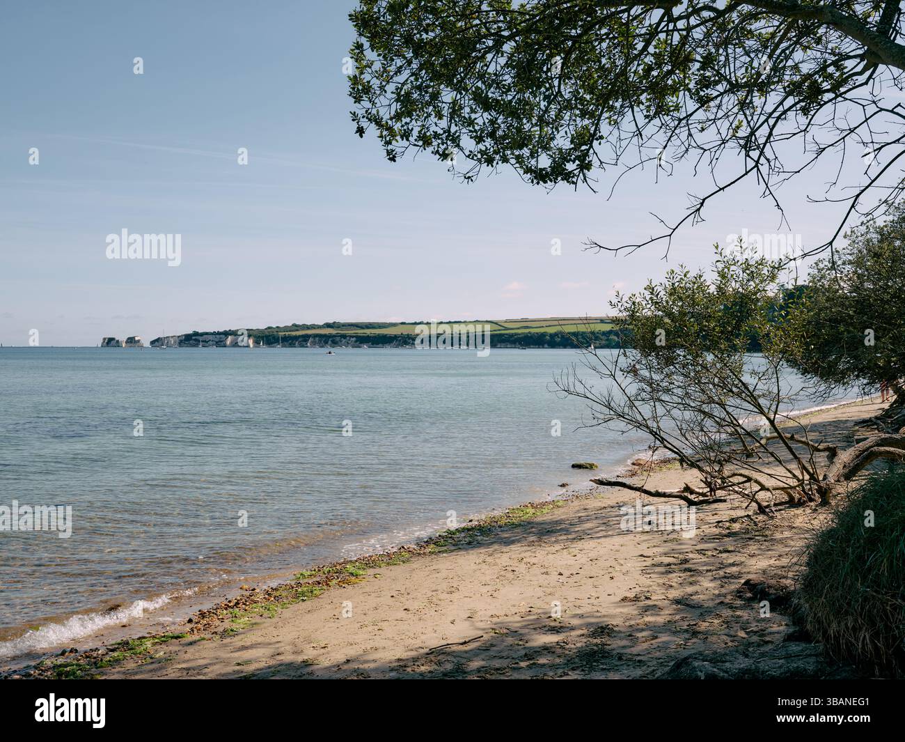 Studland Bay Beach and foreshore on a summer day on the Jurassic Coast ...