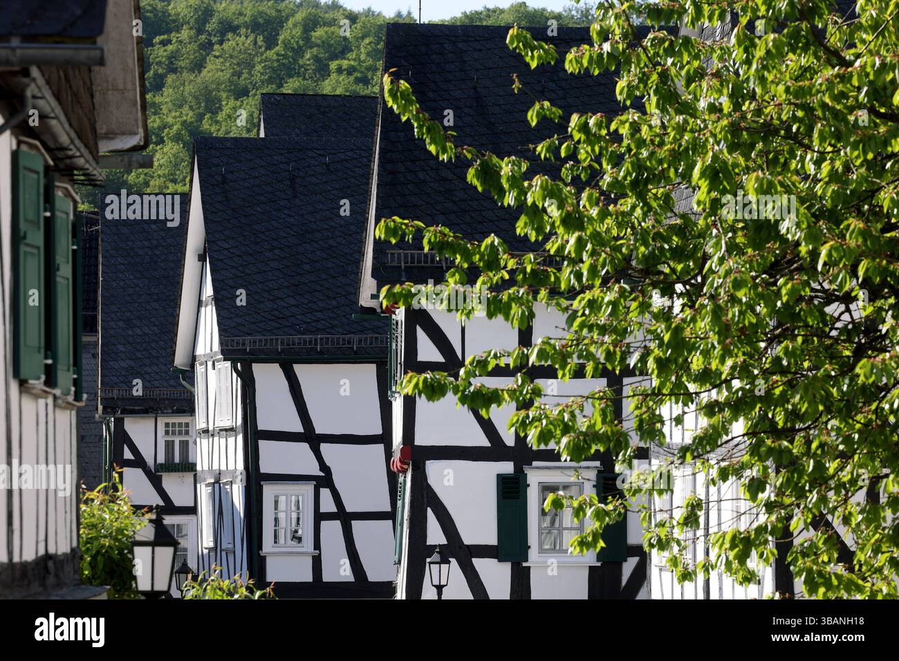 Ein wunderschoener wunderschöner Fruehlingsmorgen Frühlingsmorgen im Siegerland. Die Historische ...