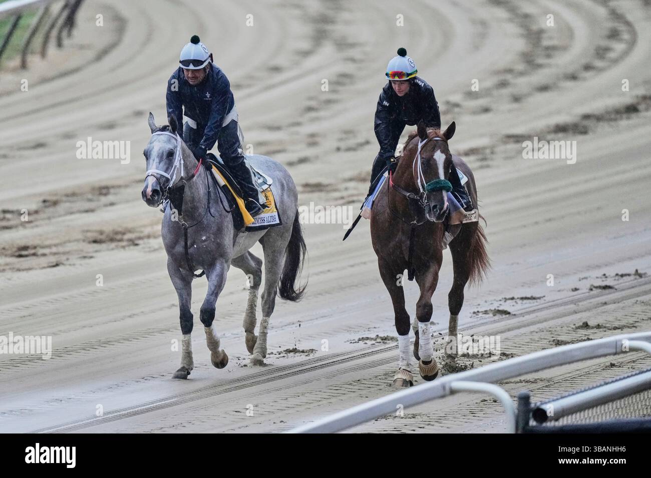 Preakness Stakes entrant American Promise, right, works out next to ...