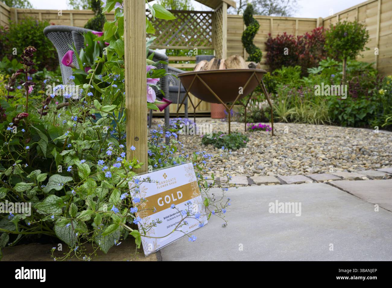 Butterfly Garden competition entry gold medal winner (lounge chairs ...