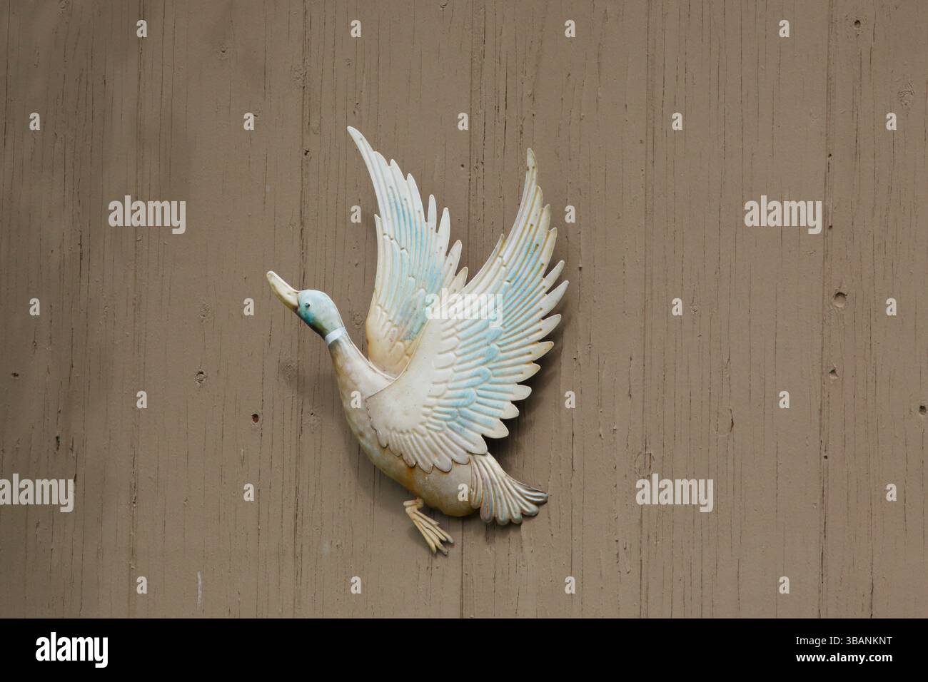 Metal Figurine of a flying Duck attached to brown wooden wall Stock ...