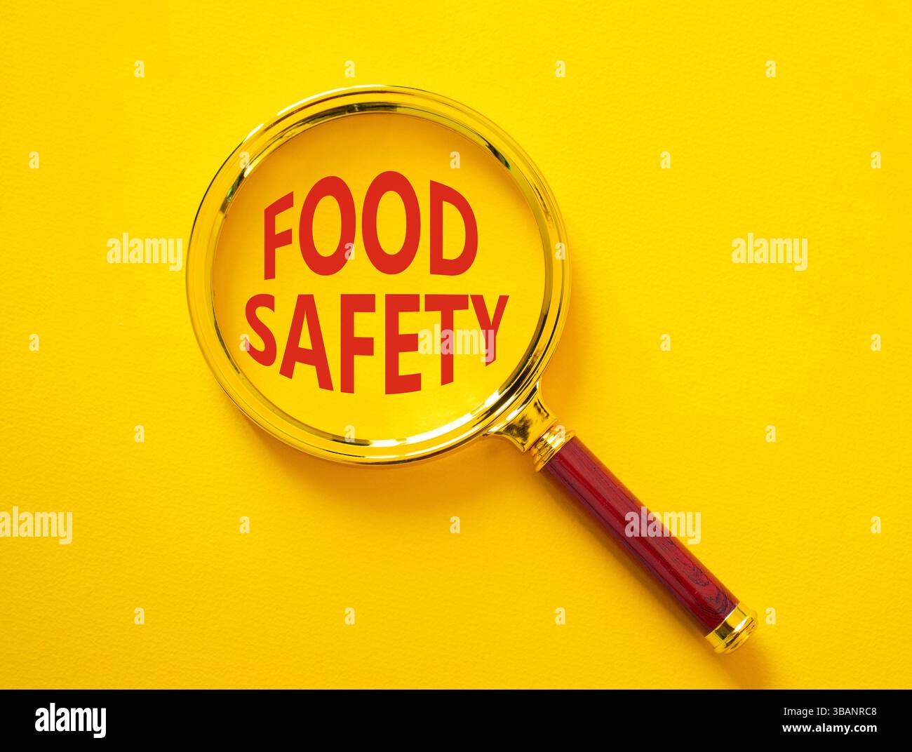 Food Safety symbol. Magnifying glass with words Food Safety. Beautiful ...