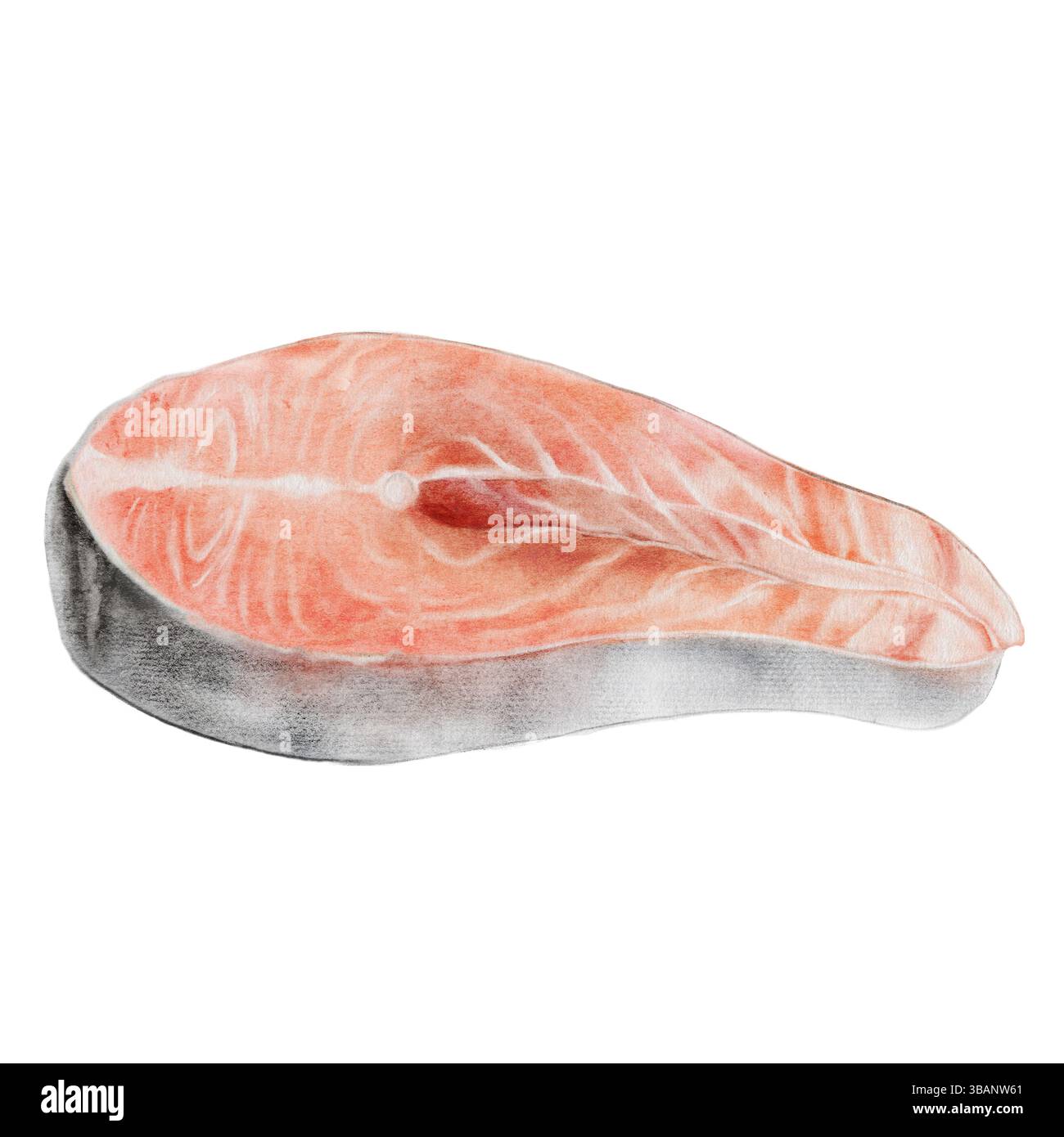Raw salmon fillet watercolor illustration. Hand drawn red fish steak on ...
