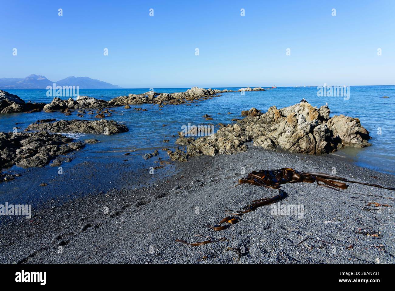 Gravel beach rocks on hi-res stock photography and images - Alamy
