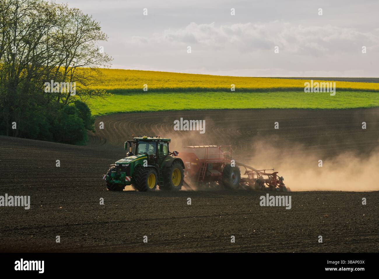 Tractor with seeder during spring sowing operations Stock Photo - Alamy