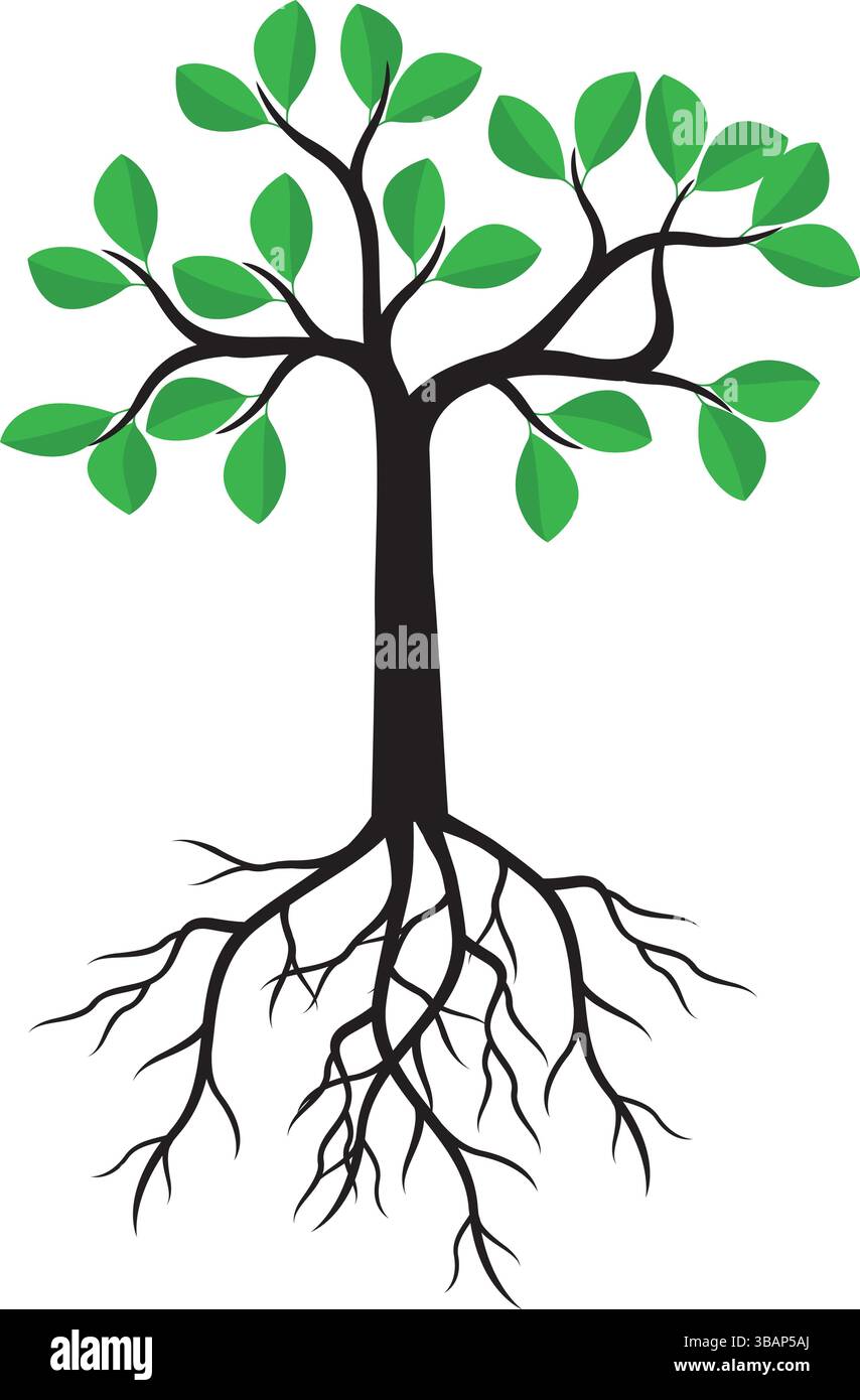 Spring tree with Roots. Vector Illustration Stock Vector Image & Art ...