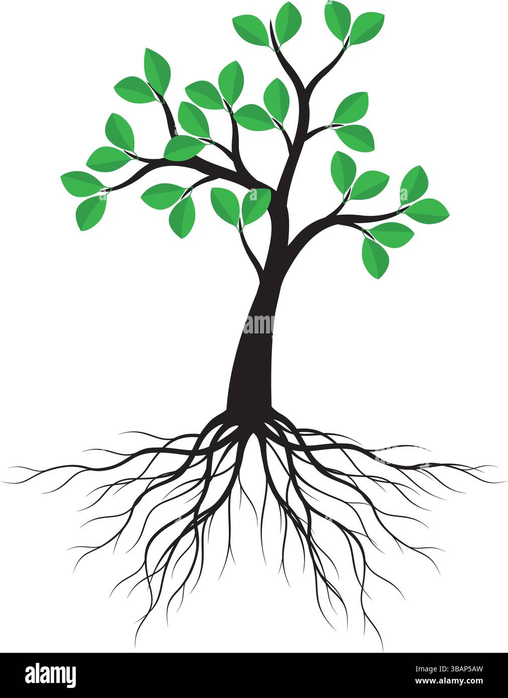 Spring tree with Roots. Vector Illustration Stock Vector Image & Art ...