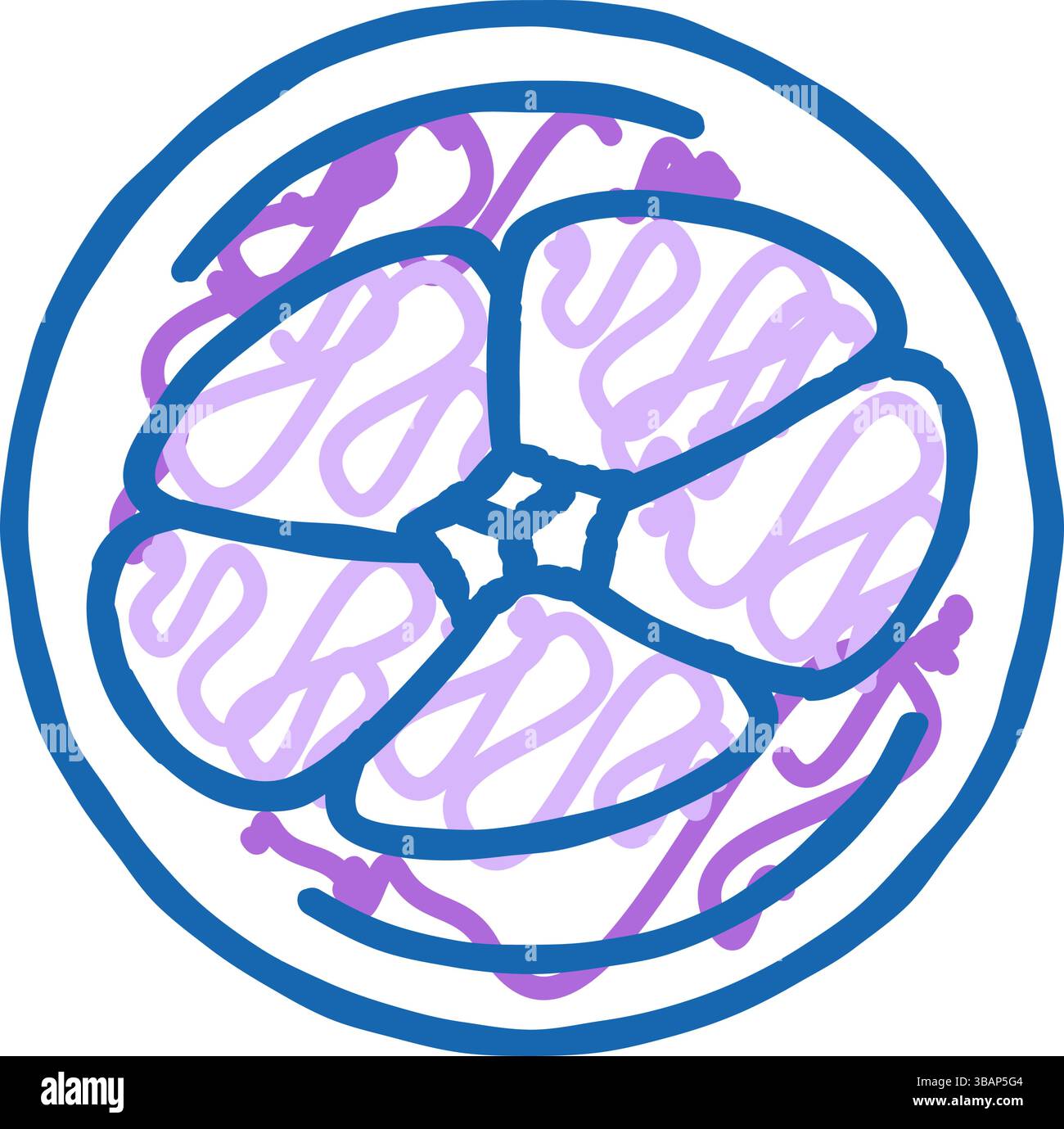 Linen curtain fabric light Stock Vector Images - Alamy