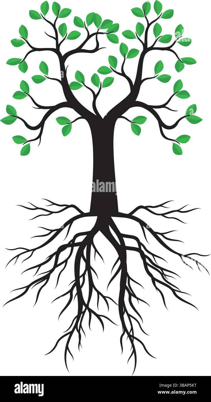 Spring tree with Roots. Vector Illustration Stock Vector Image & Art ...