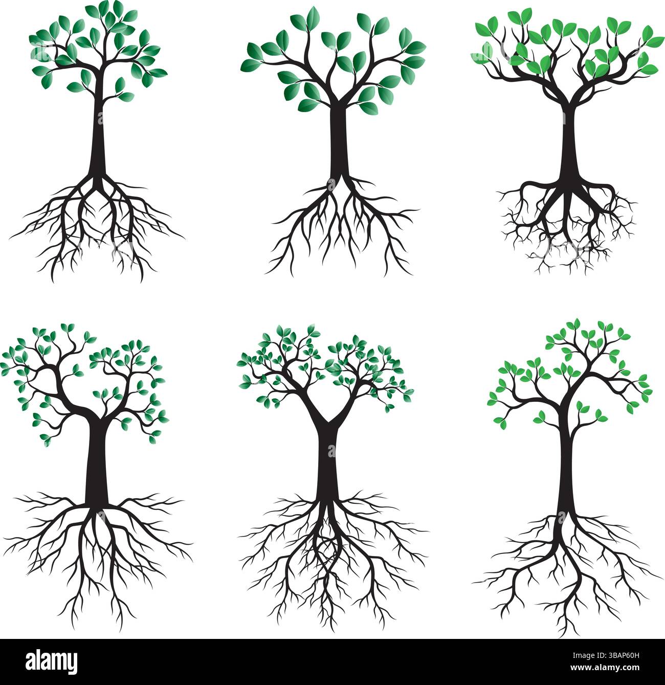 Nature forest landscape green trees Cut Out Stock Images & Pictures - Alamy