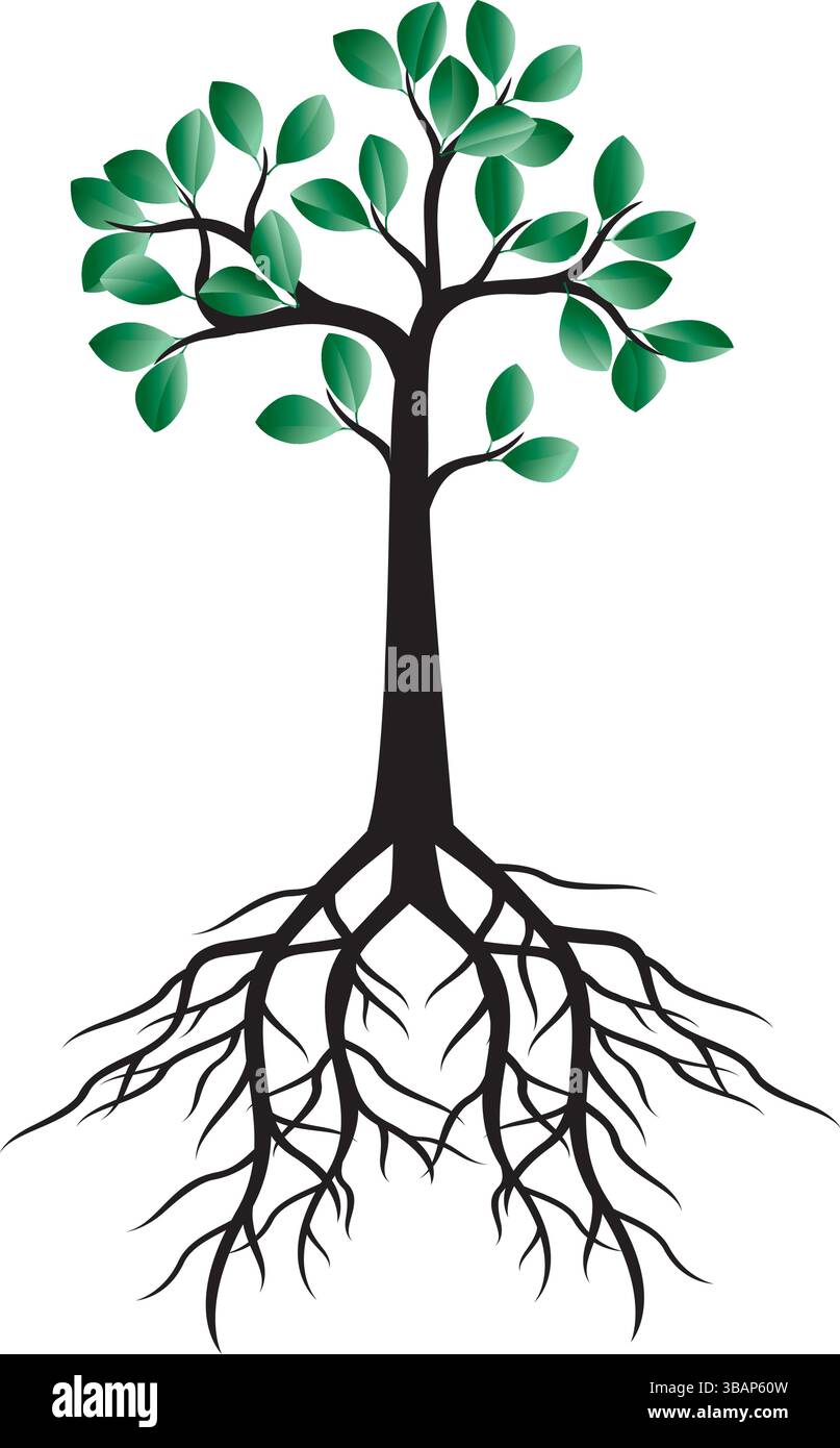 Spring tree with Roots. Vector Illustration Stock Vector Image & Art ...