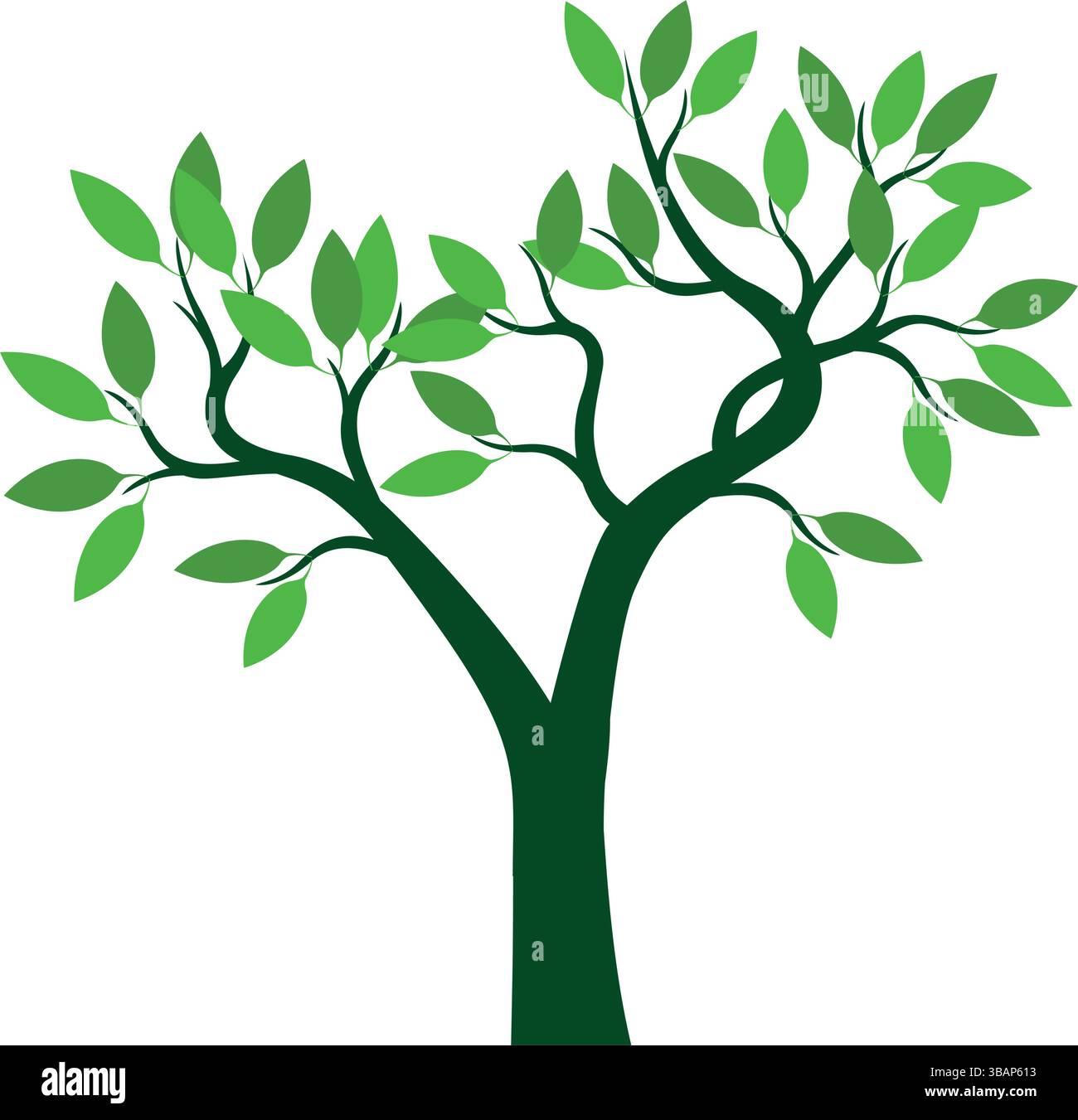 Green Spring Tree. Vector Illustration Stock Vector Image & Art - Alamy