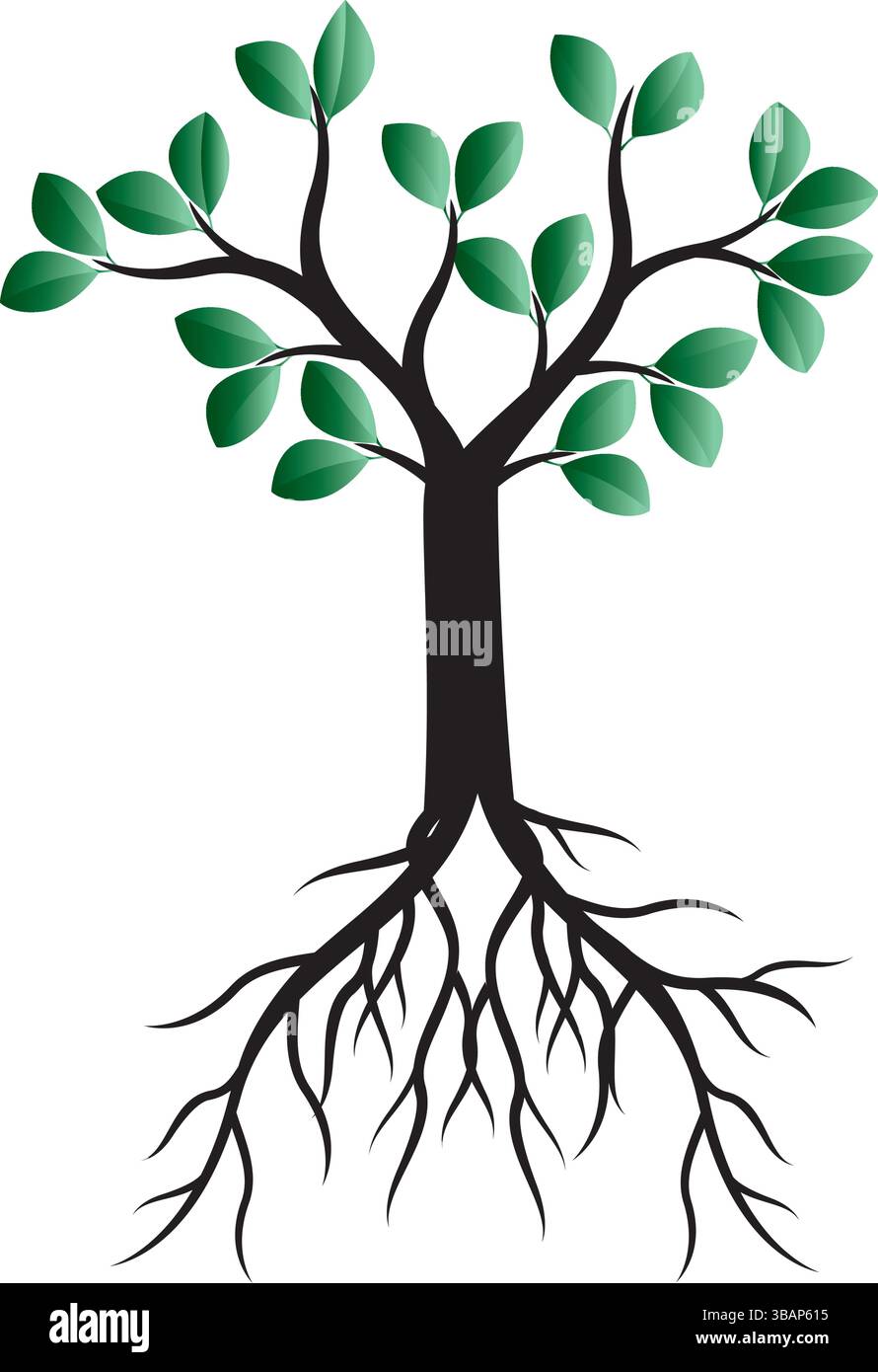 Spring tree with Roots. Vector Illustration Stock Vector Image & Art ...