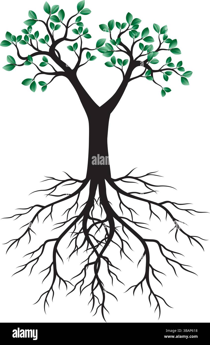 Spring tree with Roots. Vector Illustration Stock Vector Image & Art ...