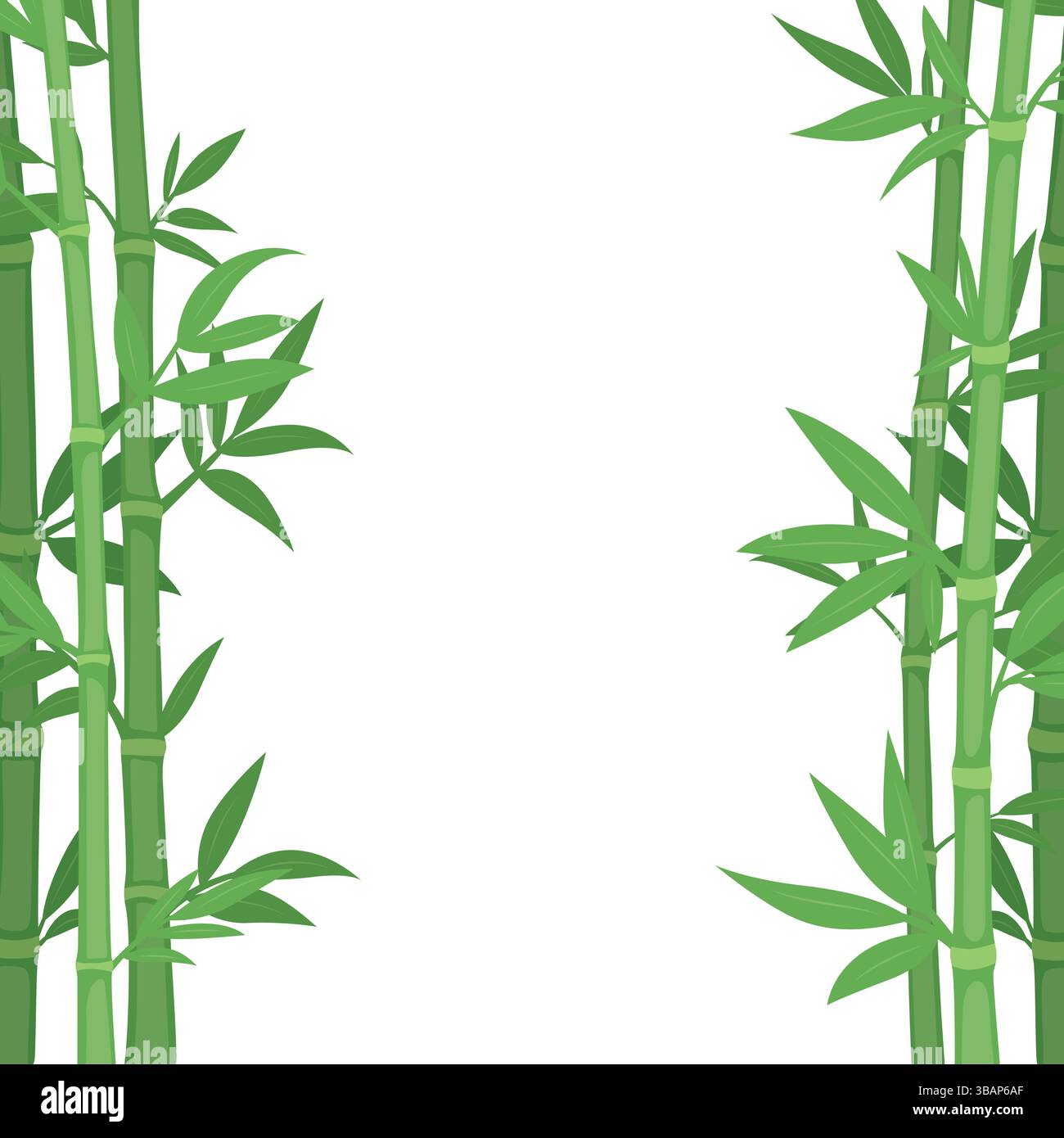 Tropical Bamboo Frame with Green Leaves on White Background. Design ...