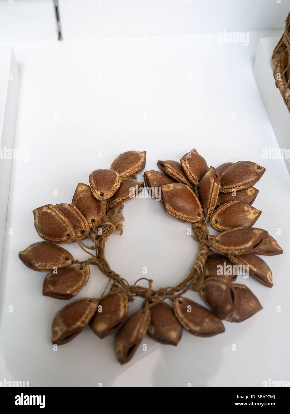 Female anklet, Cubeo culture, Amazonia, Brazil and Colombia, collected ...