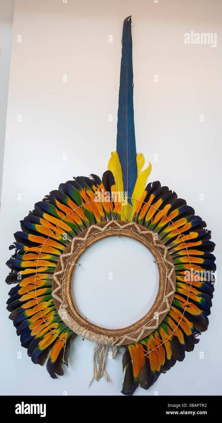 Feather crown, Kayapo culture, Amazonia, Brazil, 1950-1991, feathers ...