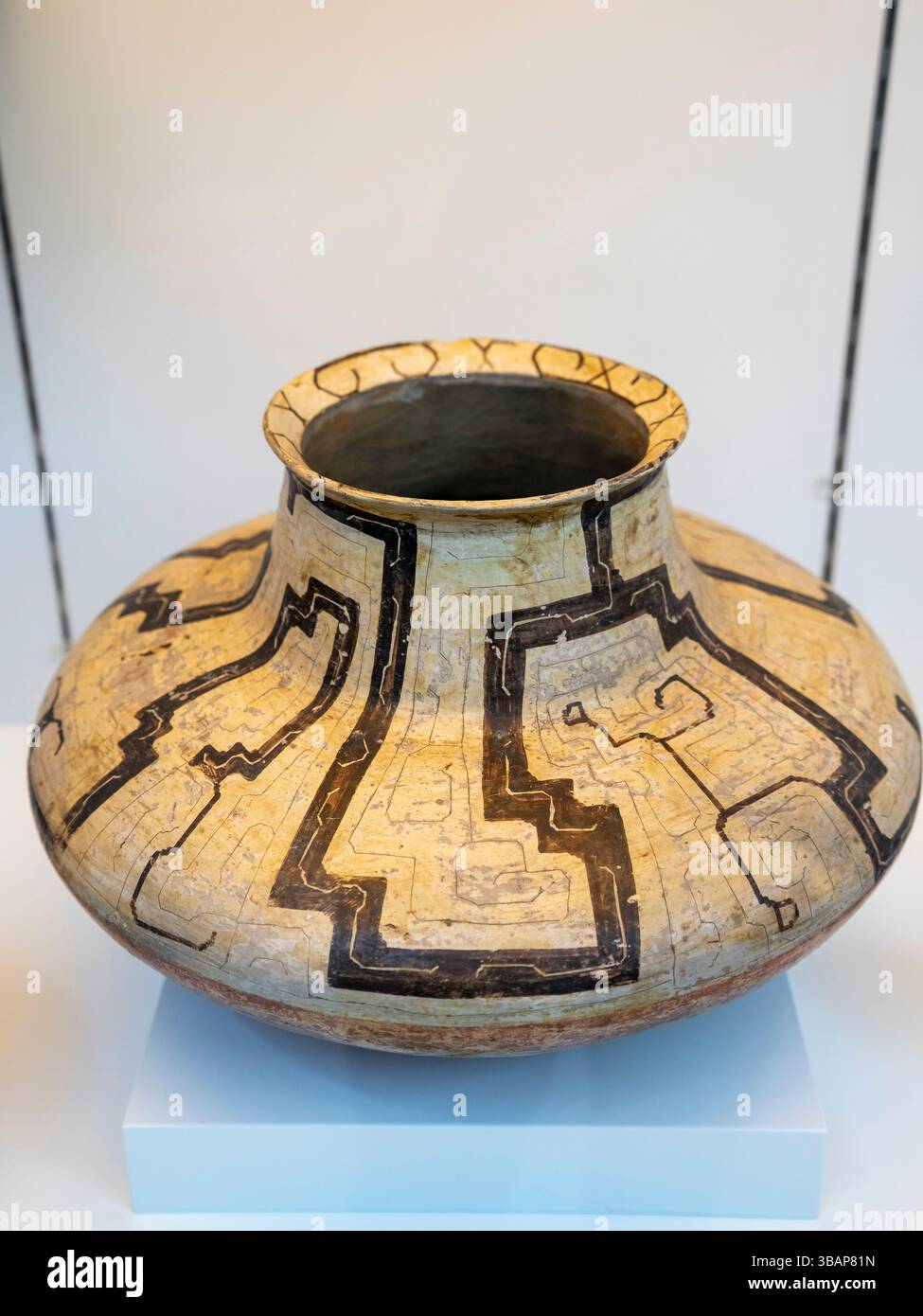 yuca chicha vessel, Shipibo culture, Peruvian Amazon, collected in 1933 ...