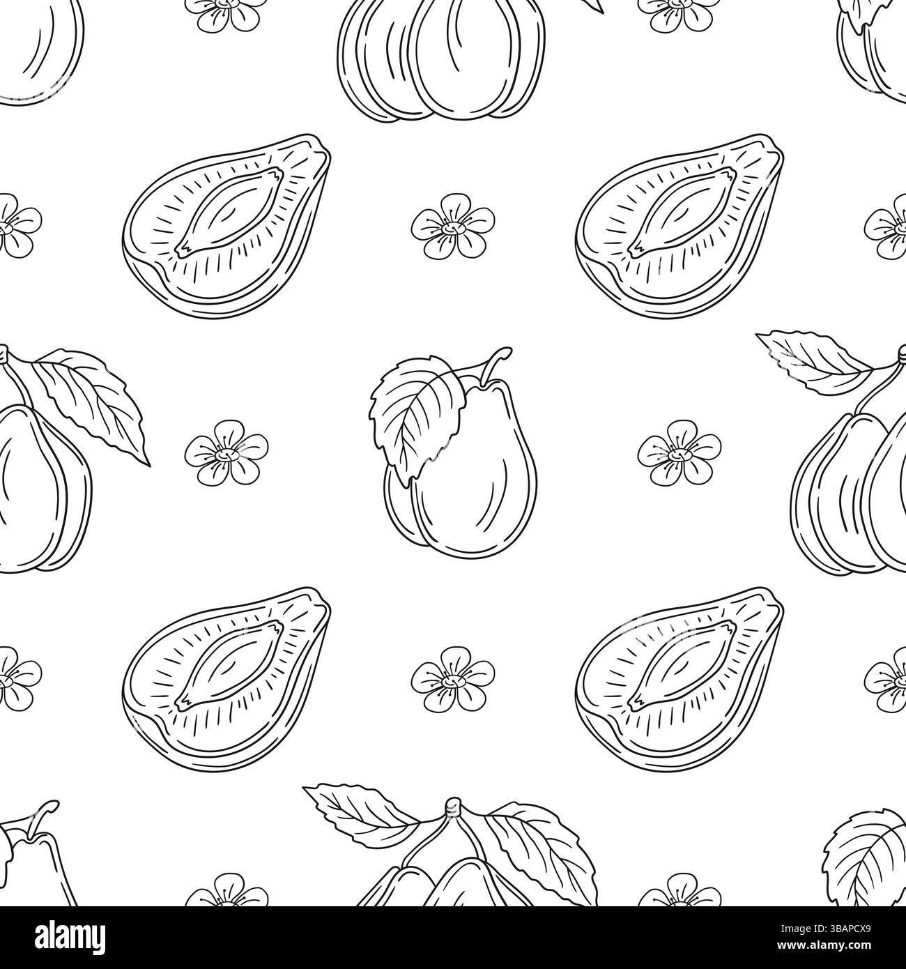 Plum. Pattern for textile or kitchen. Monochrome fruit pattern in hand ...