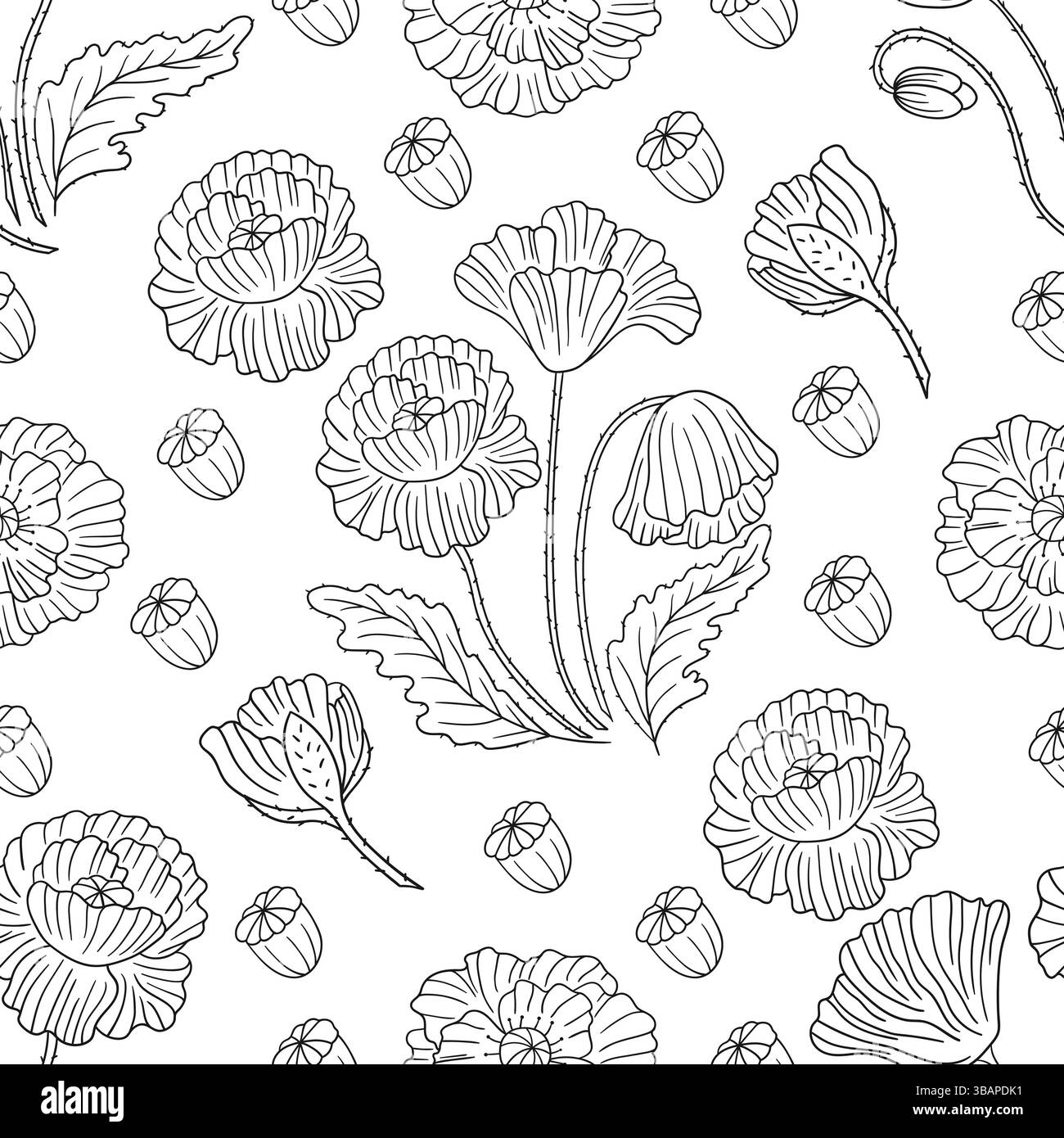 Poppy. Monochrome floral pattern in hand draw style. Pattern for ...