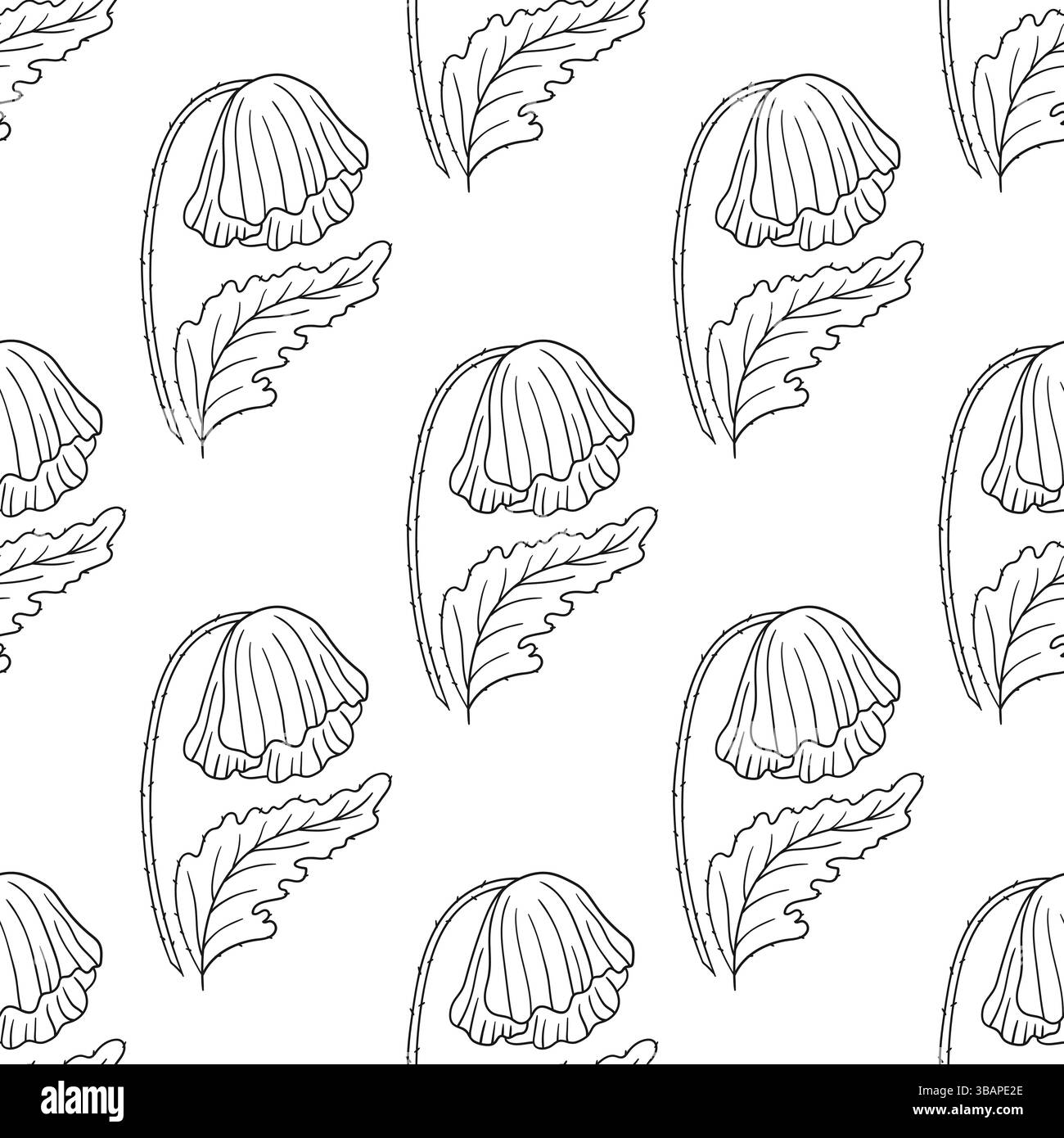 Poppy. Monochrome floral pattern in hand draw style. Pattern for ...