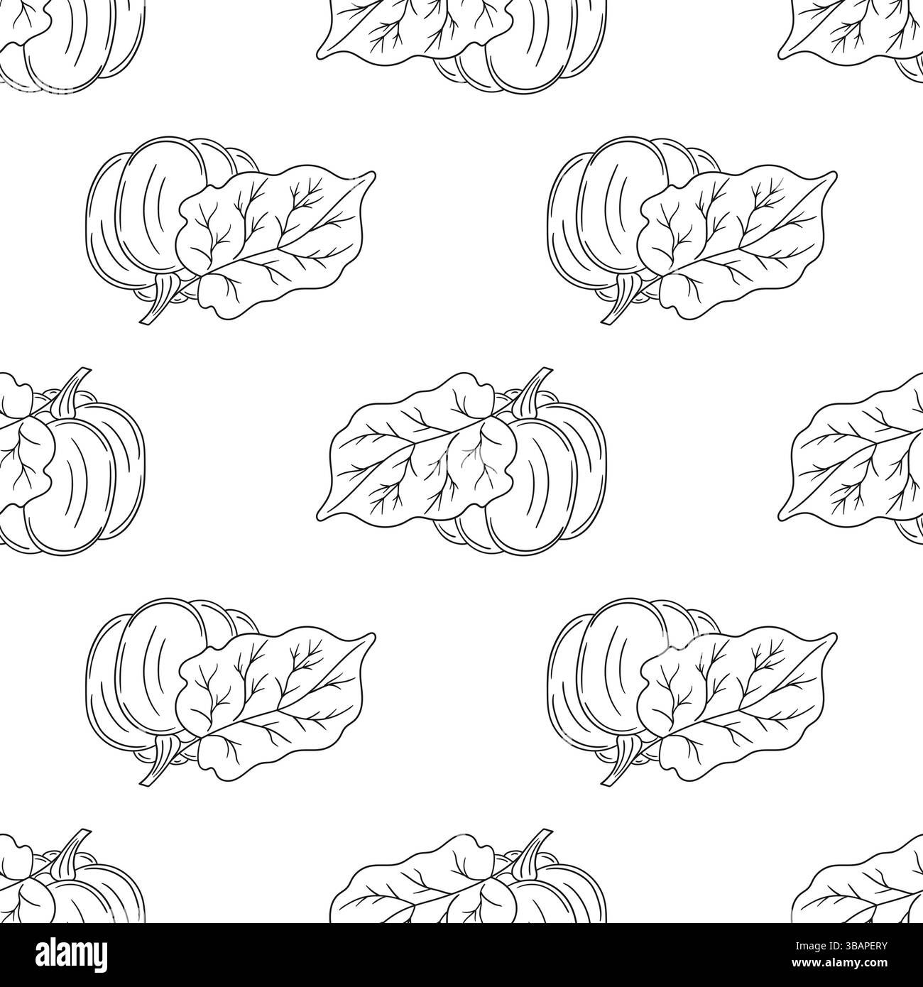 Colourful vegetable garden Black and White Stock Photos & Images - Alamy