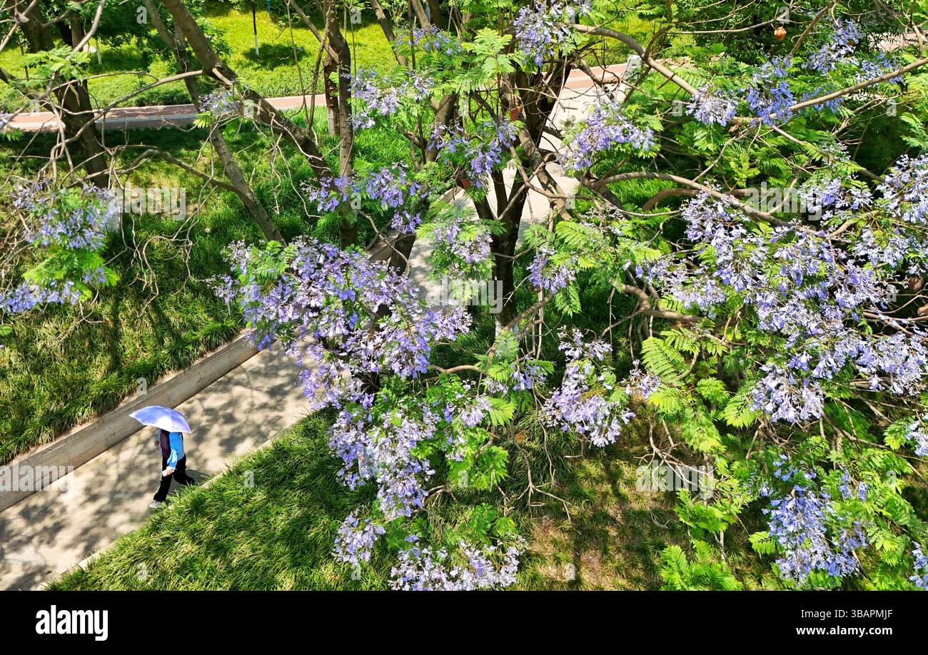 Chengdu, China's Sichuan Province. 12th May, 2025. An aerial drone ...